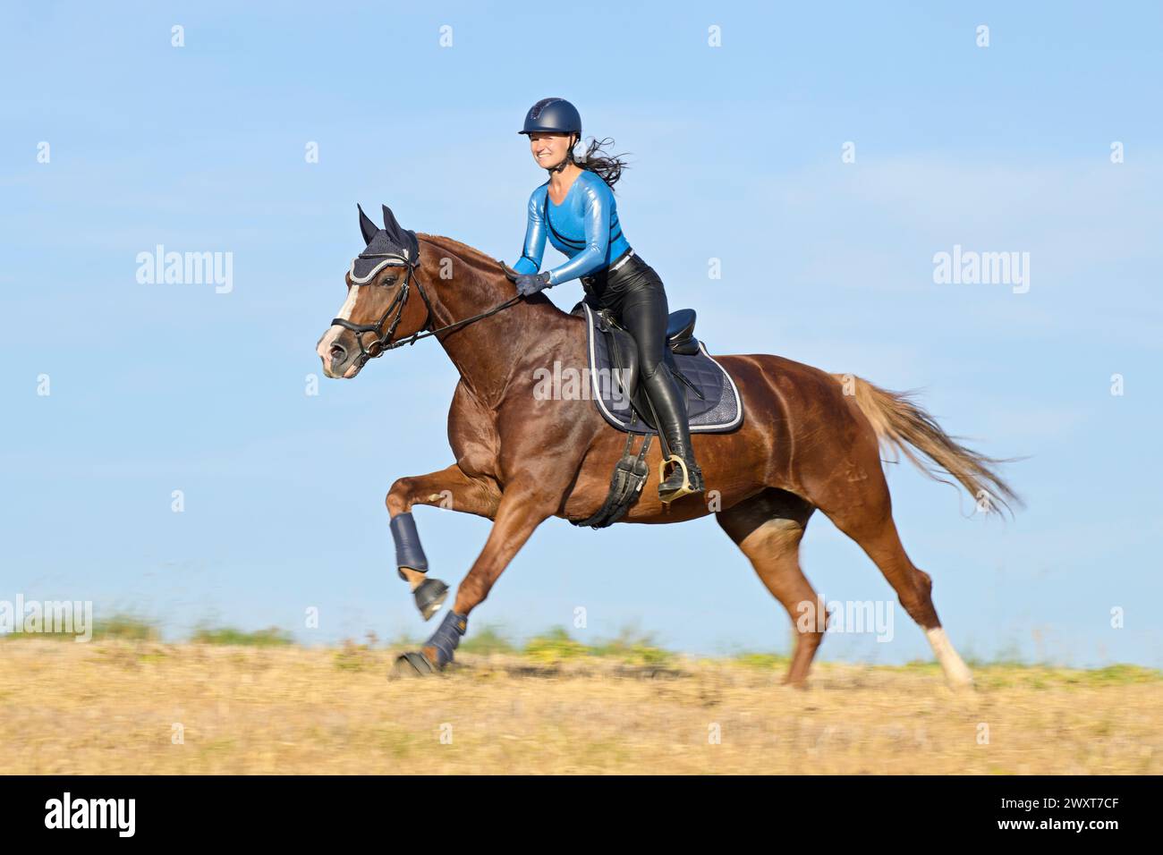 Horseback rider wearing a shiny leotard and faux leather riding ...