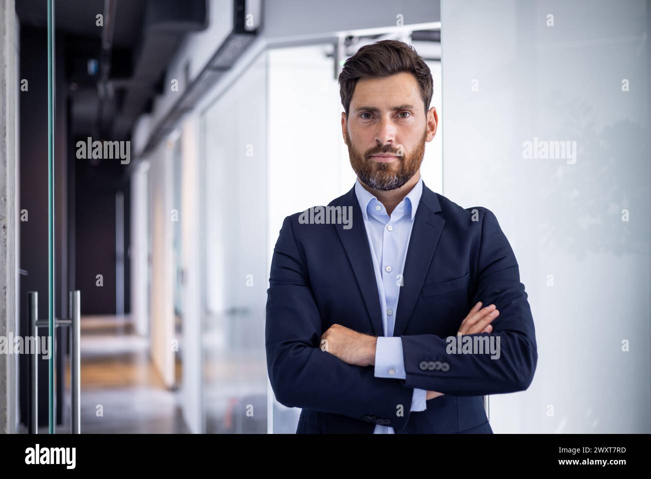 Portrait of a confident professional male executive with a beard ...