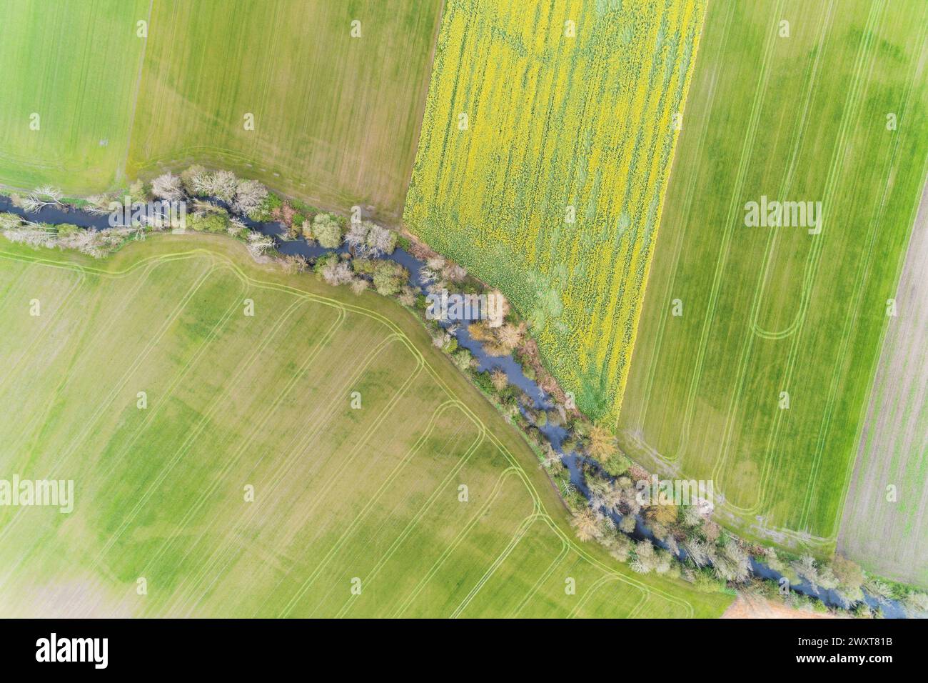 a river between agricultural fields as seen from a drone, aerial top ...