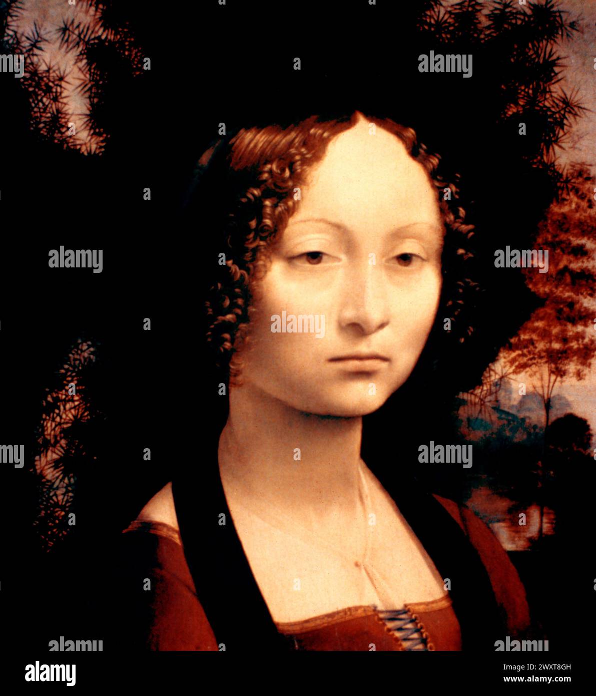 Portrait of Ginevra de' Benci, painting by Italian artist Leonardo da ...