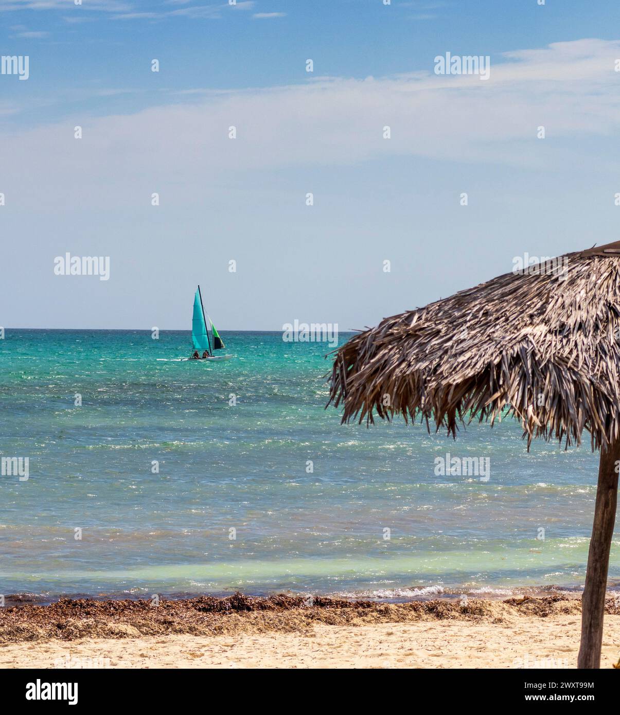 Beautiful seascape. Sail at the horizon. Tropical Island Stock Photo ...