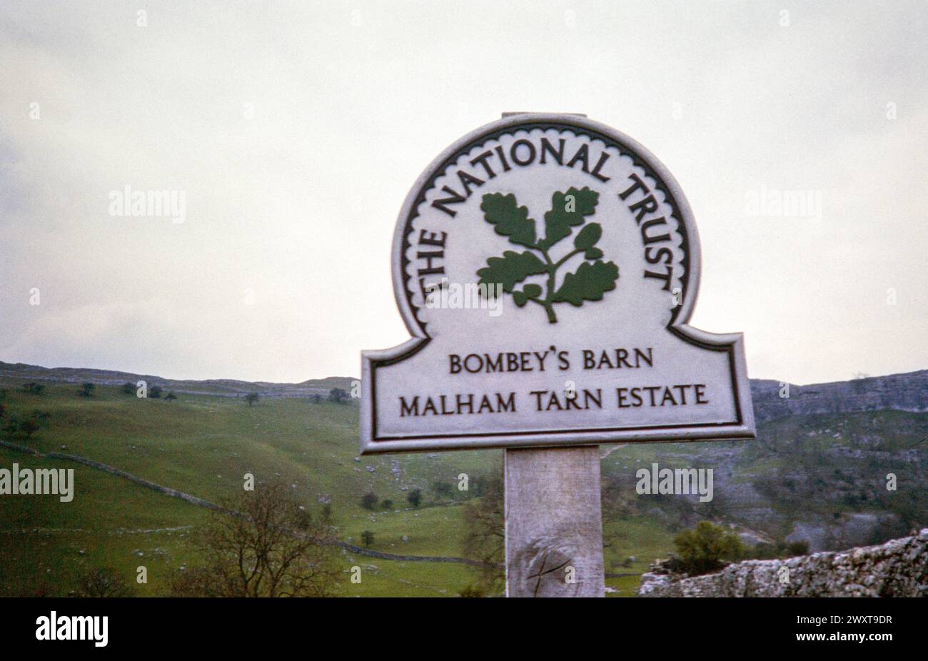 Bombey's Bran, Malham Tarn estate, Yorkshire Dales national park ...