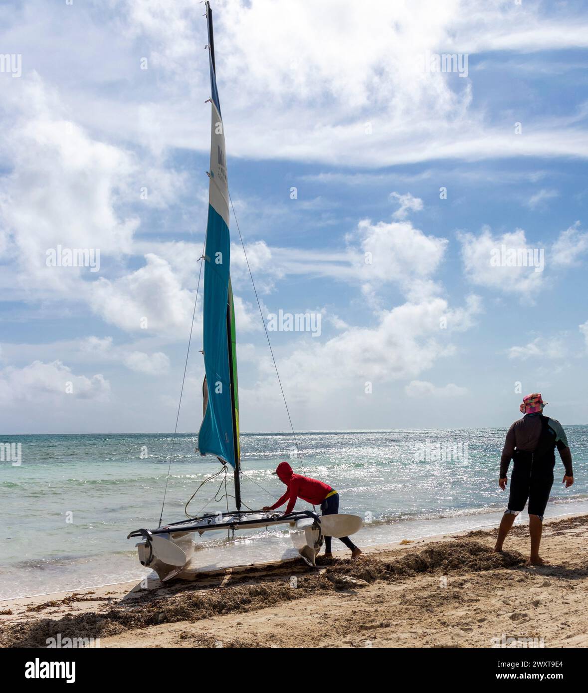 Hot humid landscape hi-res stock photography and images - Alamy