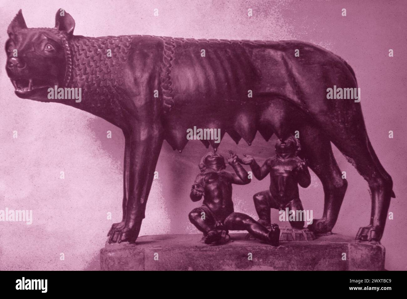 Romulus and remus hi-res stock photography and images - Alamy