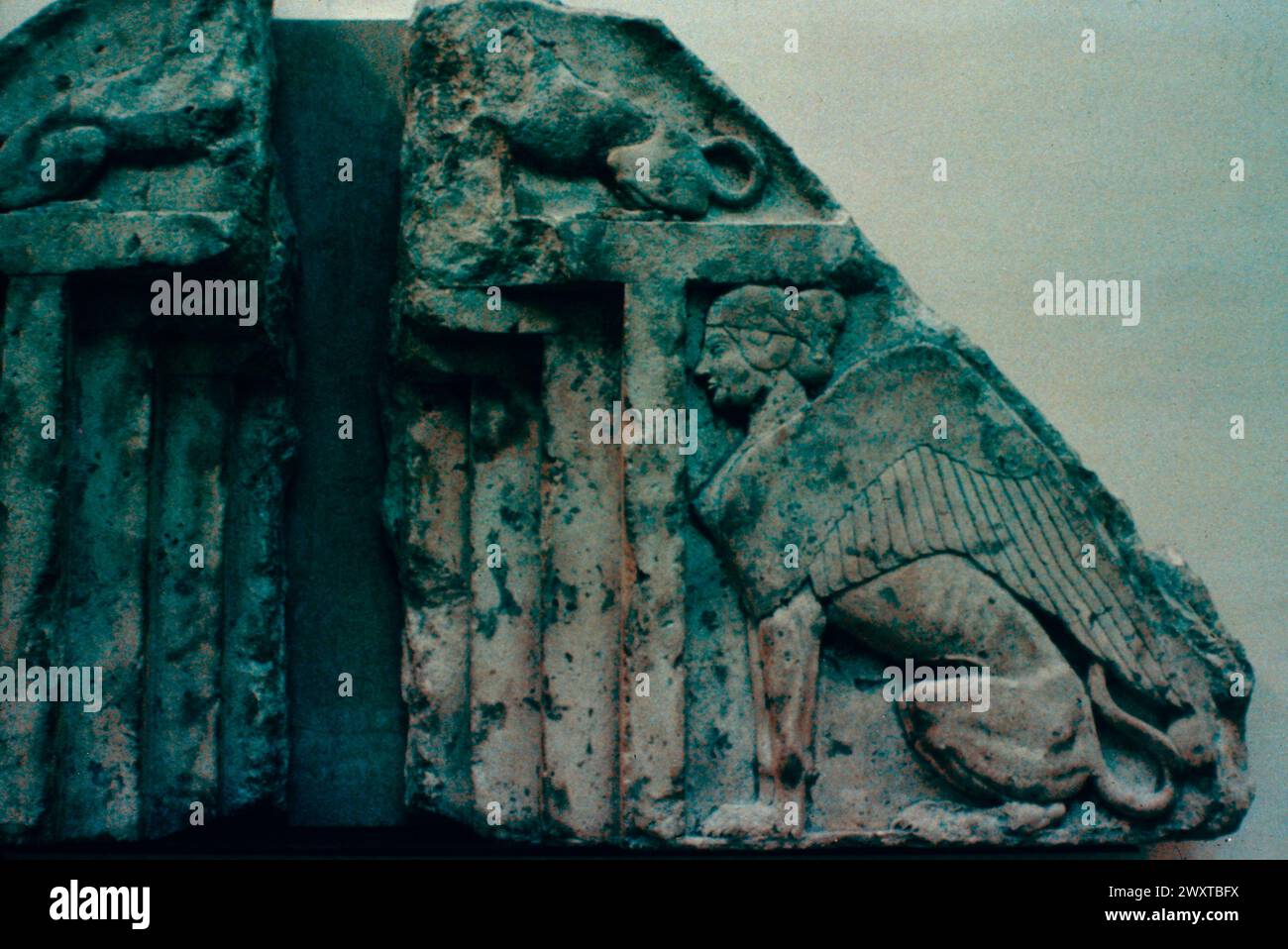 A sphinx, limestone frieze from a tomb in Xanthos, Lycia, Turkey 400 BC ...