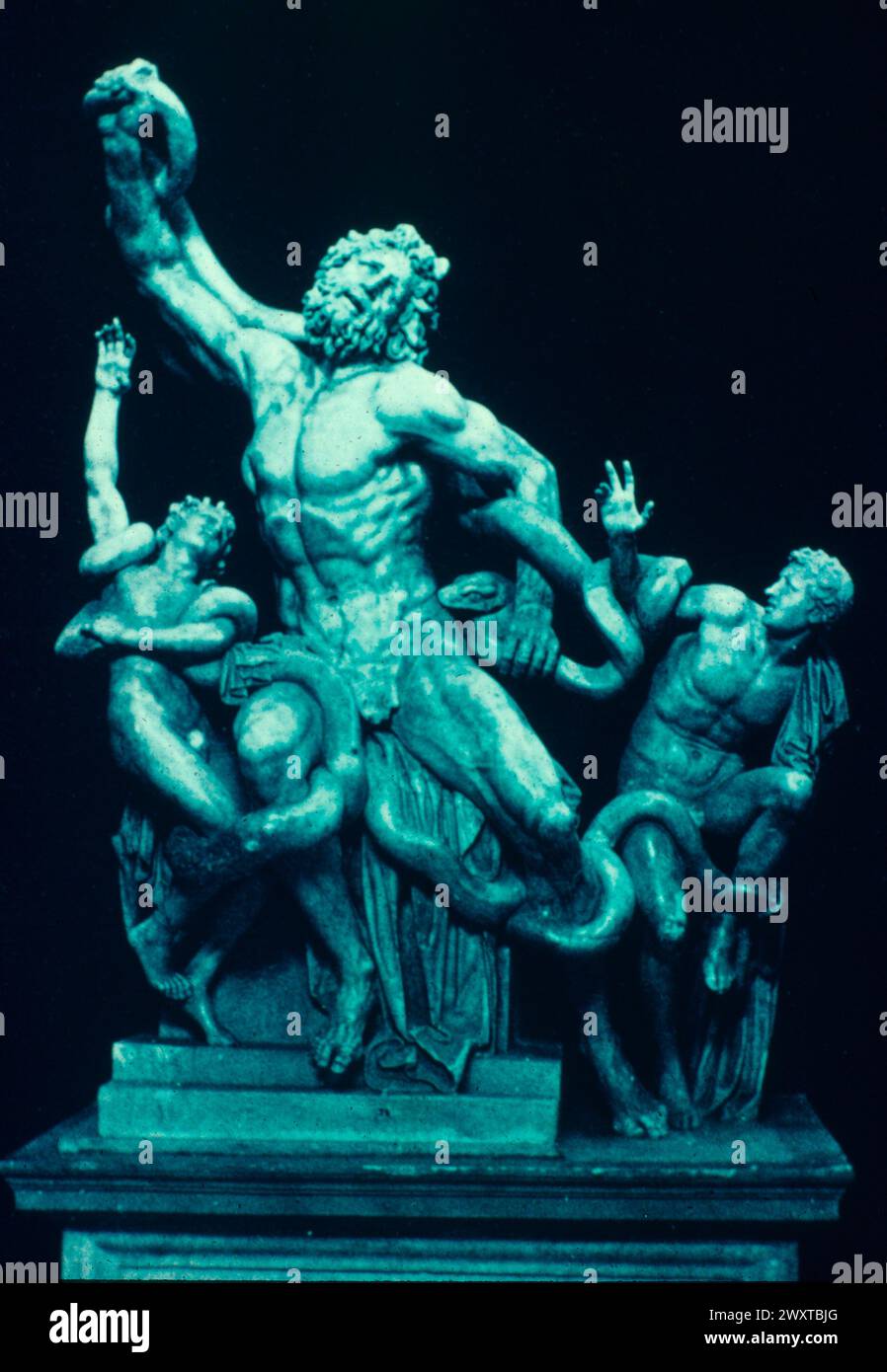 Laocoon statue hi-res stock photography and images - Alamy