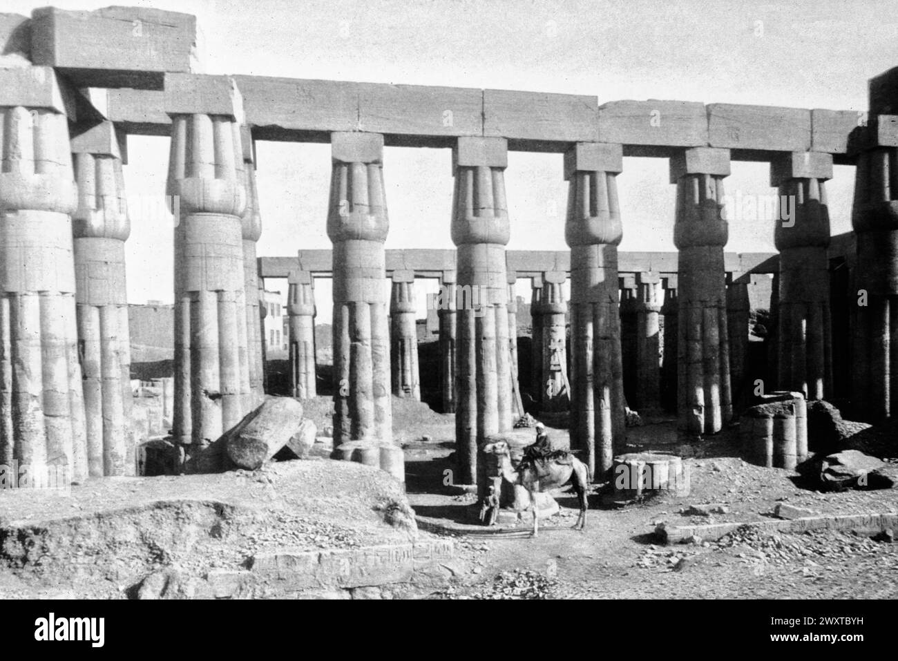 Papyrus bud columns from the Amenhotep III's court at the temple of the ...
