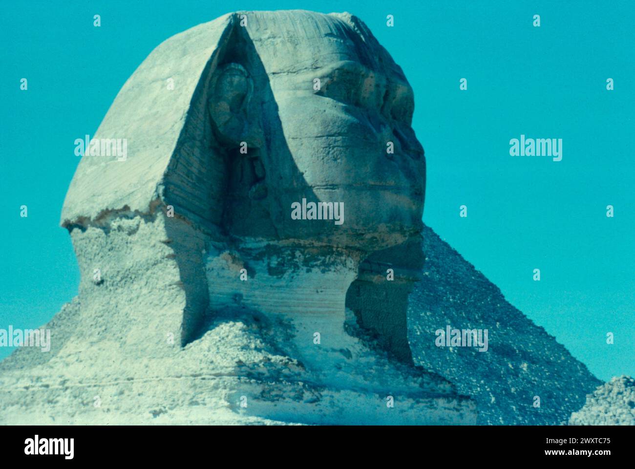 The Sphinx at Giza, Egypt Stock Photo - Alamy