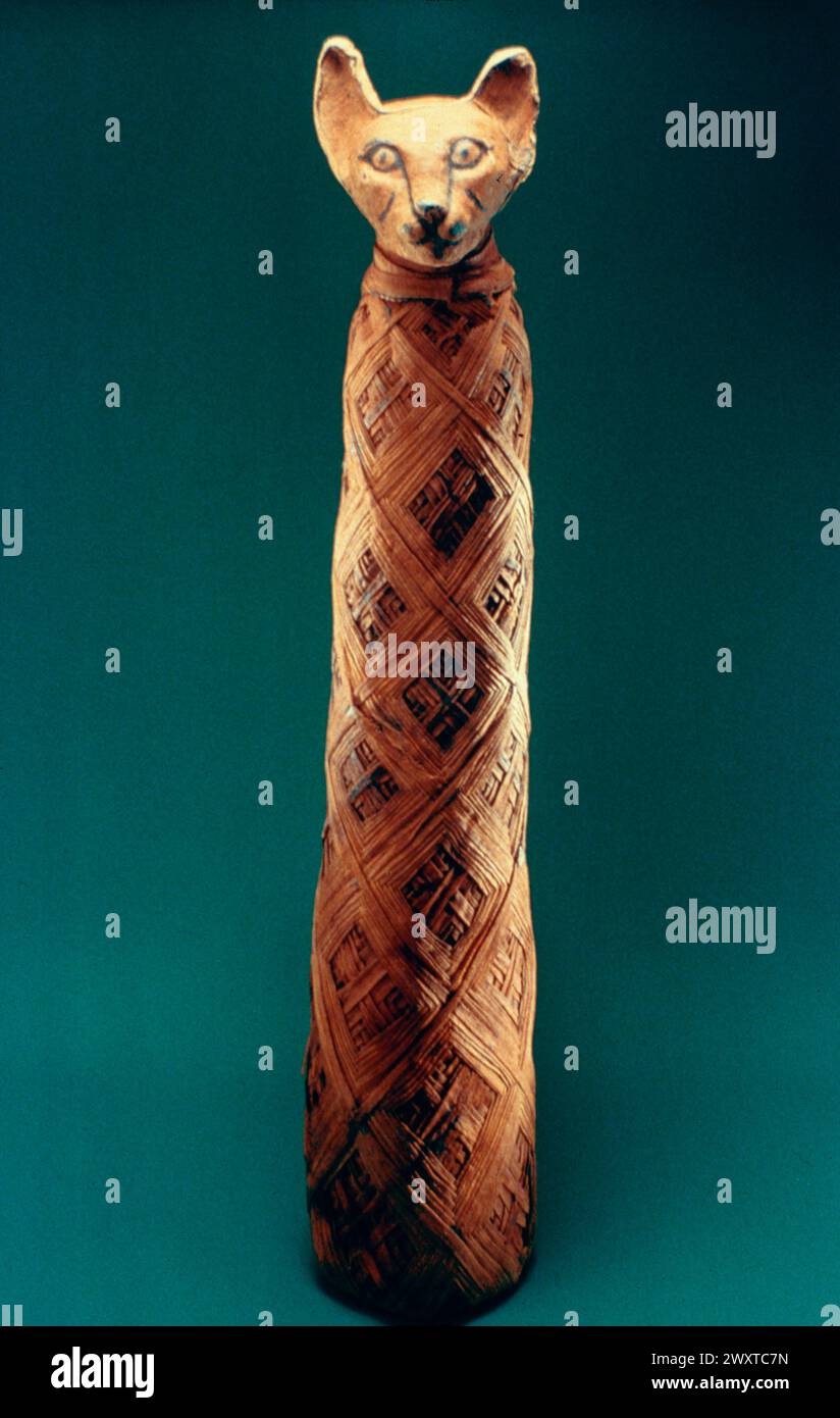 Mummy cat wrapped hi-res stock photography and images - Alamy