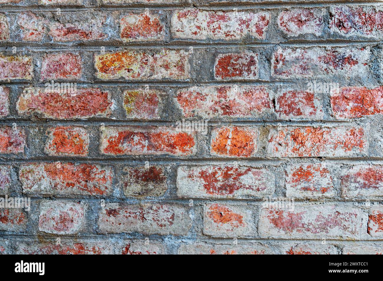 Wall background of bricks with cement filled between them Stock Photo ...