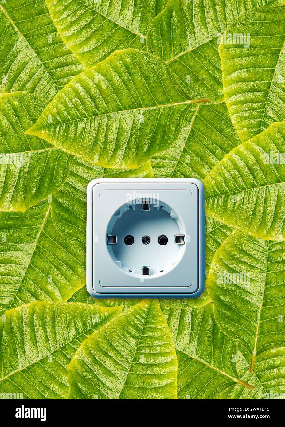 electricity socket over a leaves background, green energy concept Stock ...