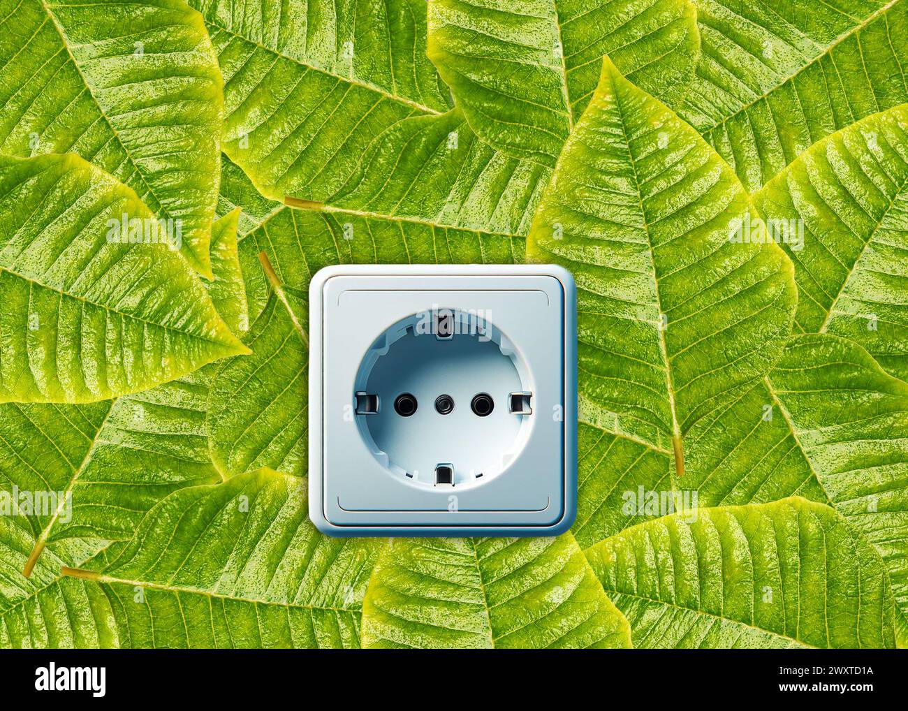 electricity socket over a leaves background, green energy concept Stock ...