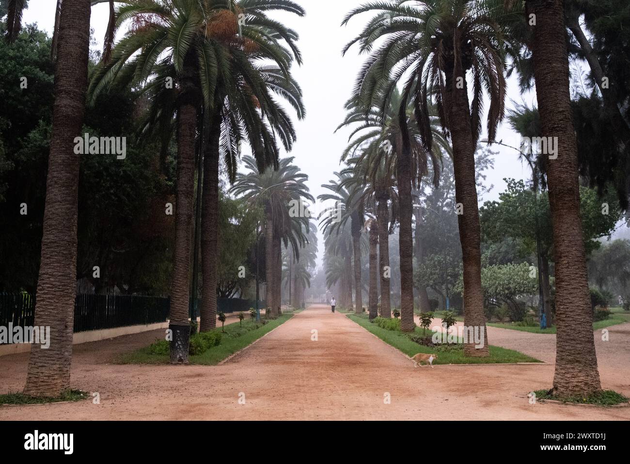 Parc Isesco ( Murdokh ), a 4-hectare park created in 1907 with gardens ...