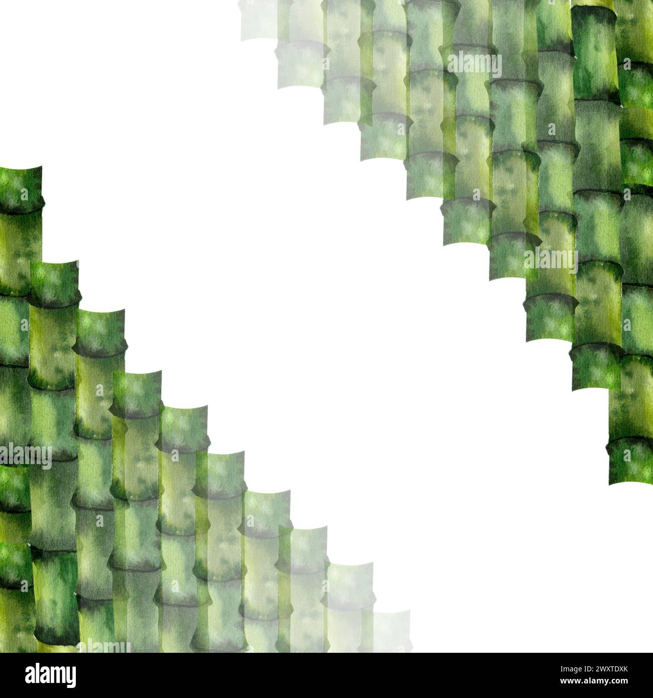 Bamboo frame, watercolor green sticks banner. Hand drawn floral frame ...