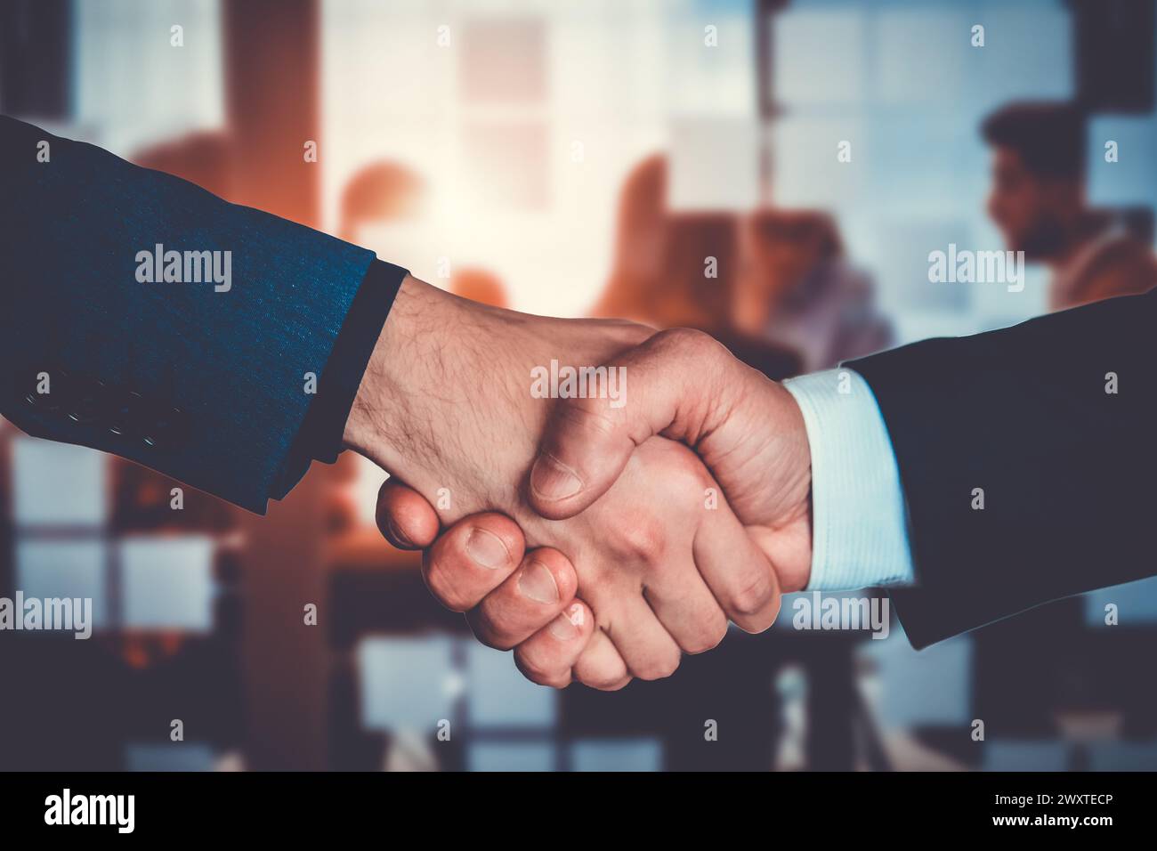 Businessmen making handshake with partner, greeting, dealing, merger ...