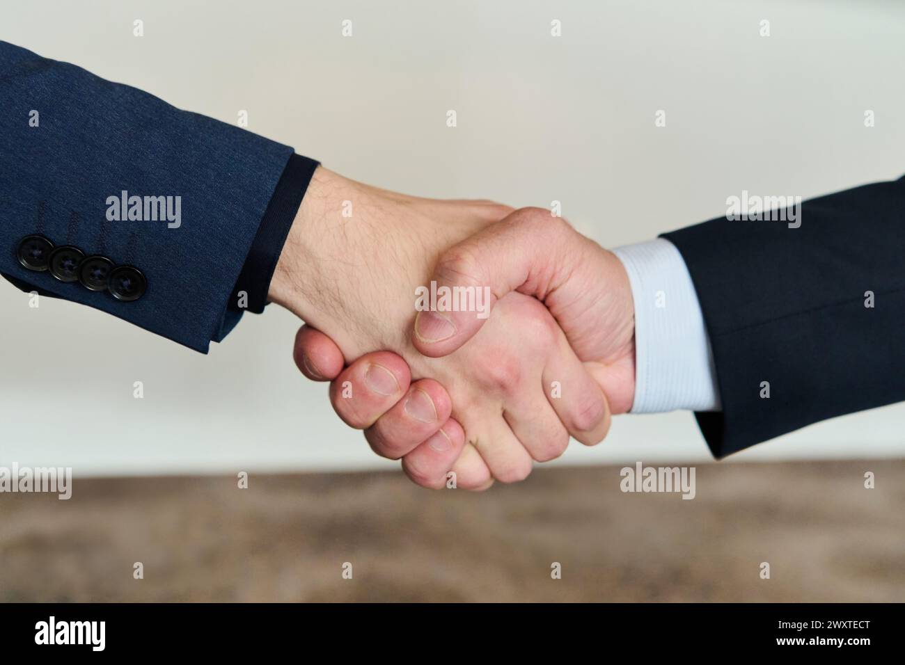 Businessmen making handshake with partner, greeting, dealing, merger ...
