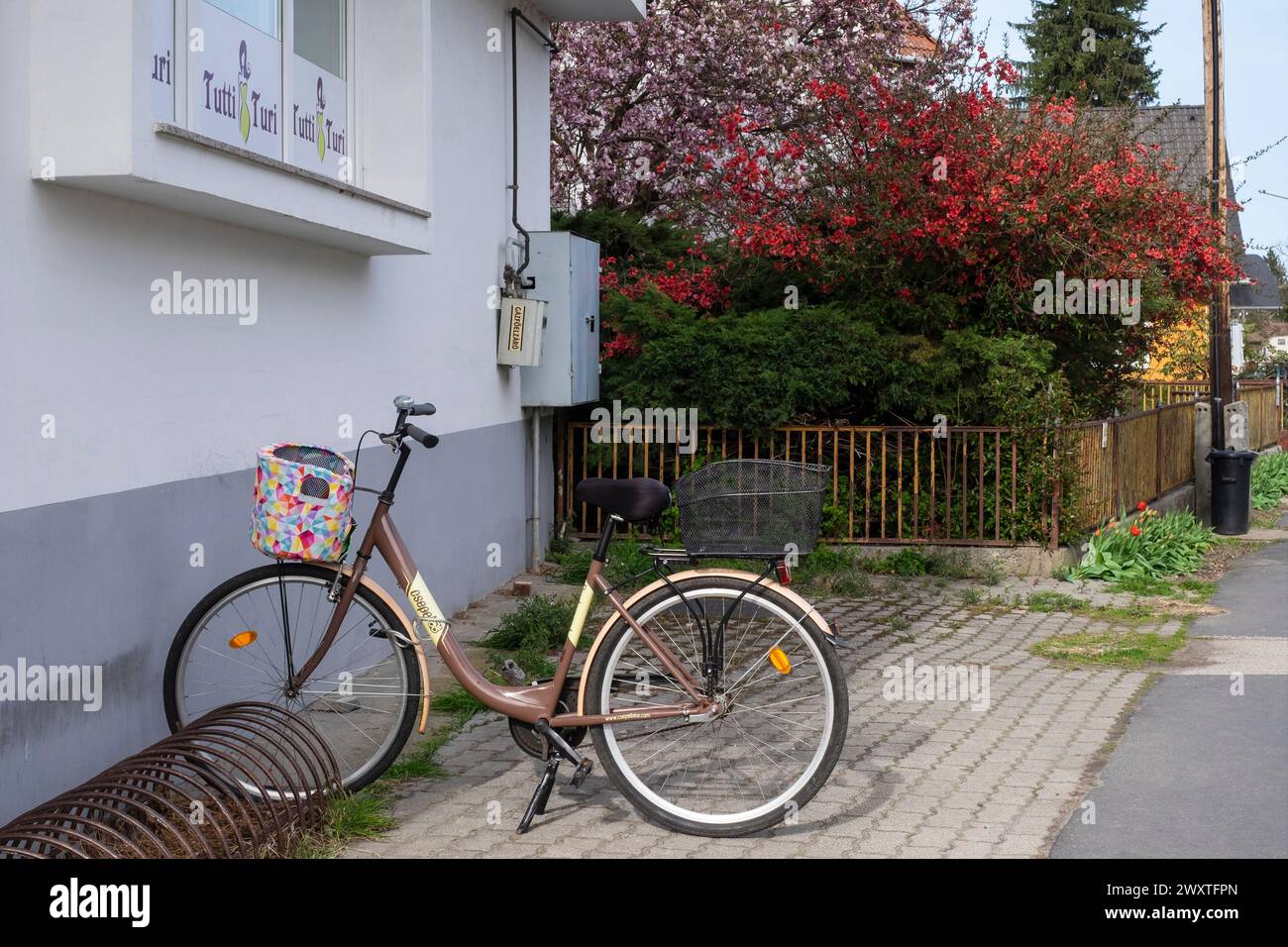 bicycle in cycle rack outside shop store with trees covered in spring ...