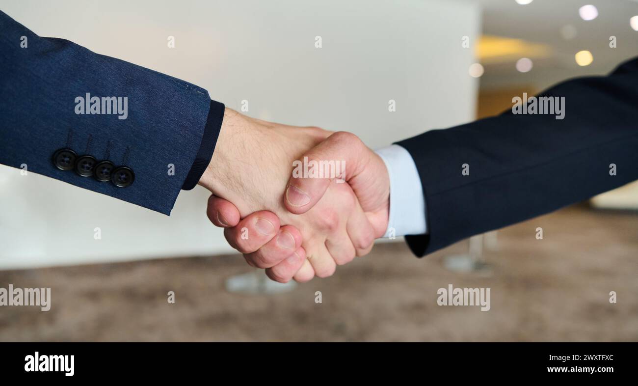 Businessmen making handshake with partner, greeting, dealing, merger ...