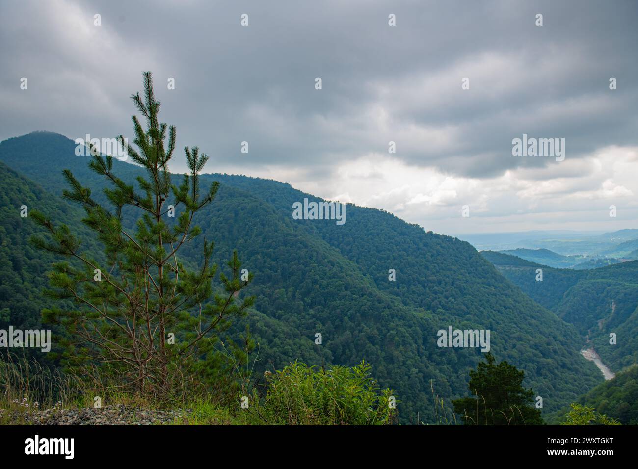 A Symphony of Nature: Green Mountains Harmonizing with Blue Skies Stock ...