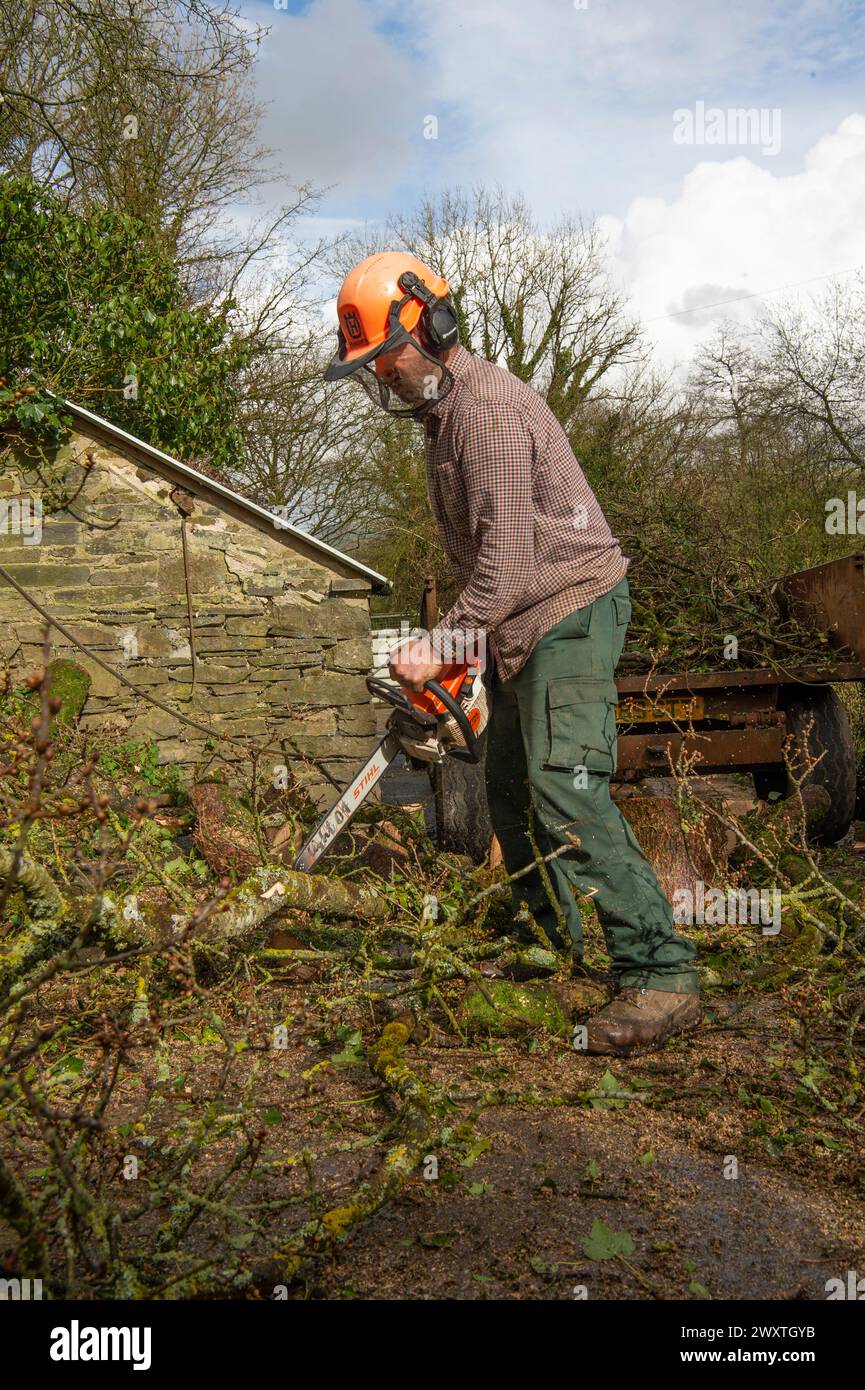 Lumberjack working in tree hi-res stock photography and images - Alamy