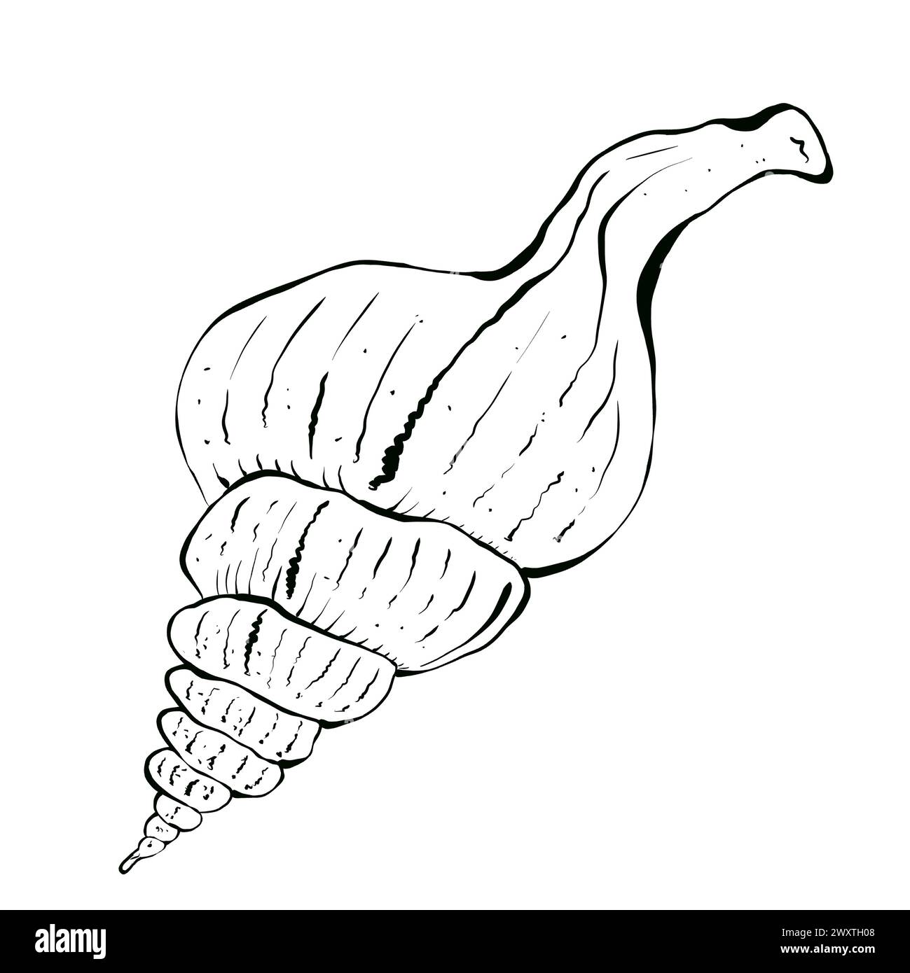 Underwater world with sea animals, spiral rapan shell. Hand drawn ...