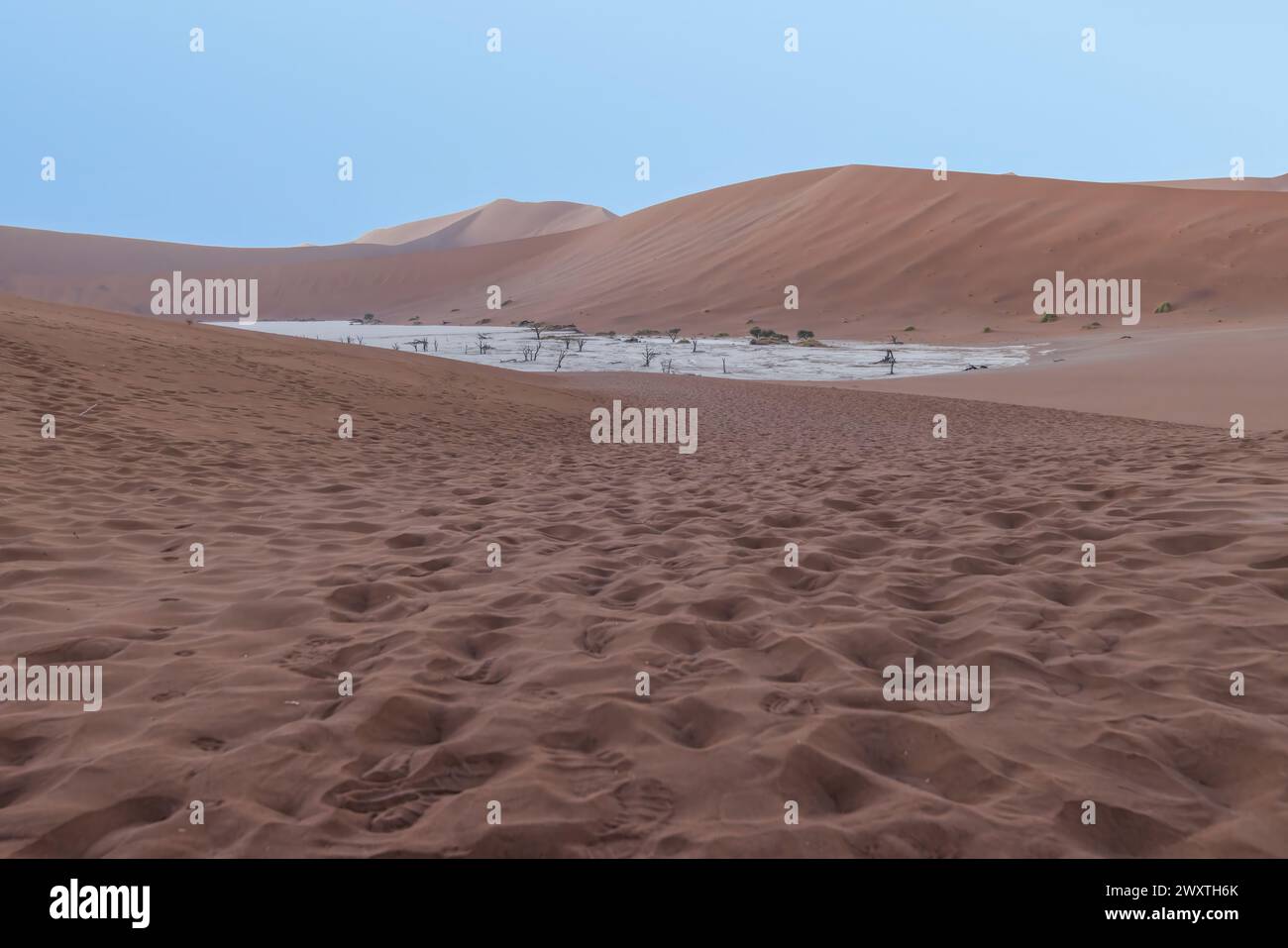 Panoramic picture of the Deadvlei salt pan in the Namib Desert with ...