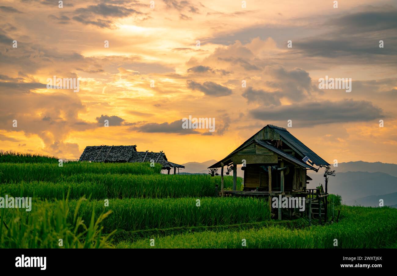Landscape of rice terrace and hut with mountain range background and ...