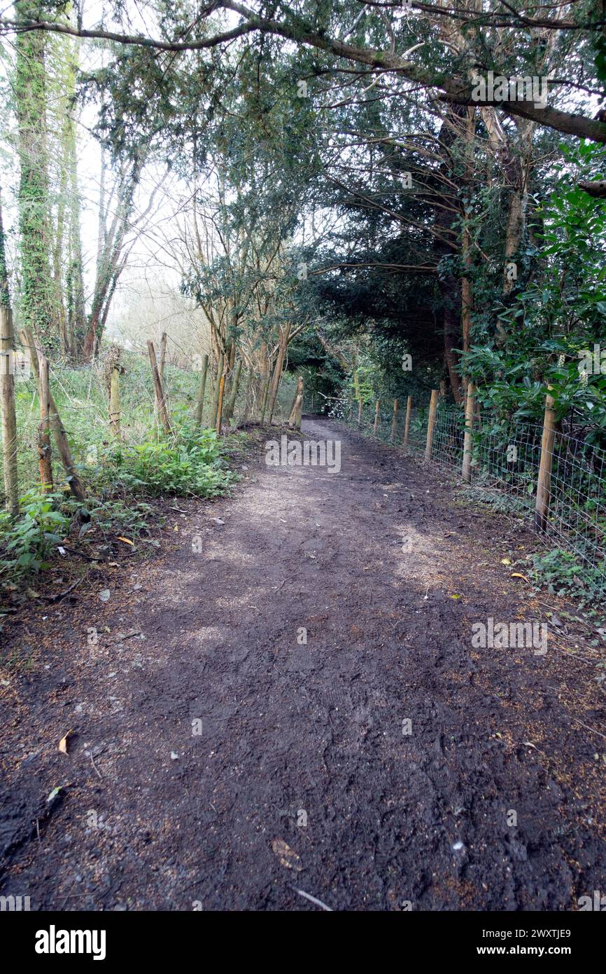 A British Woodland Scenery Walk through a Walking Trail With Path Stock ...