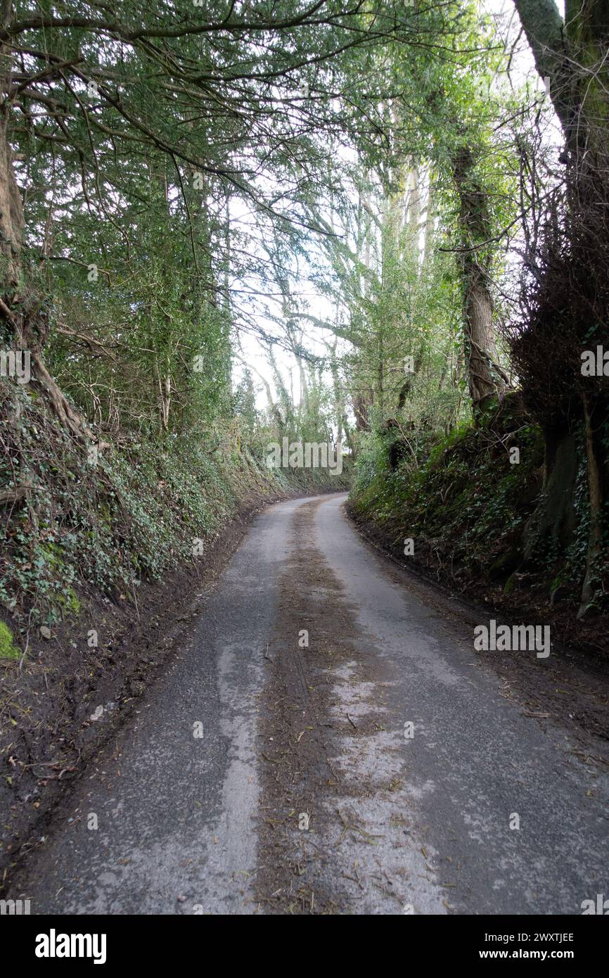 A British Woodland Scenery Walk through a Walking Trail With Path Stock ...