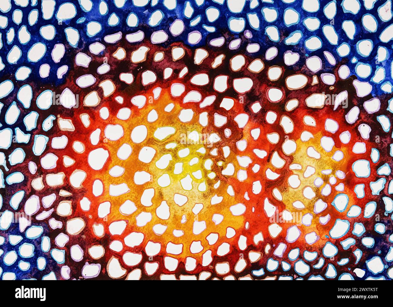 White dots on a colorful background. The dabbing technique near the ...