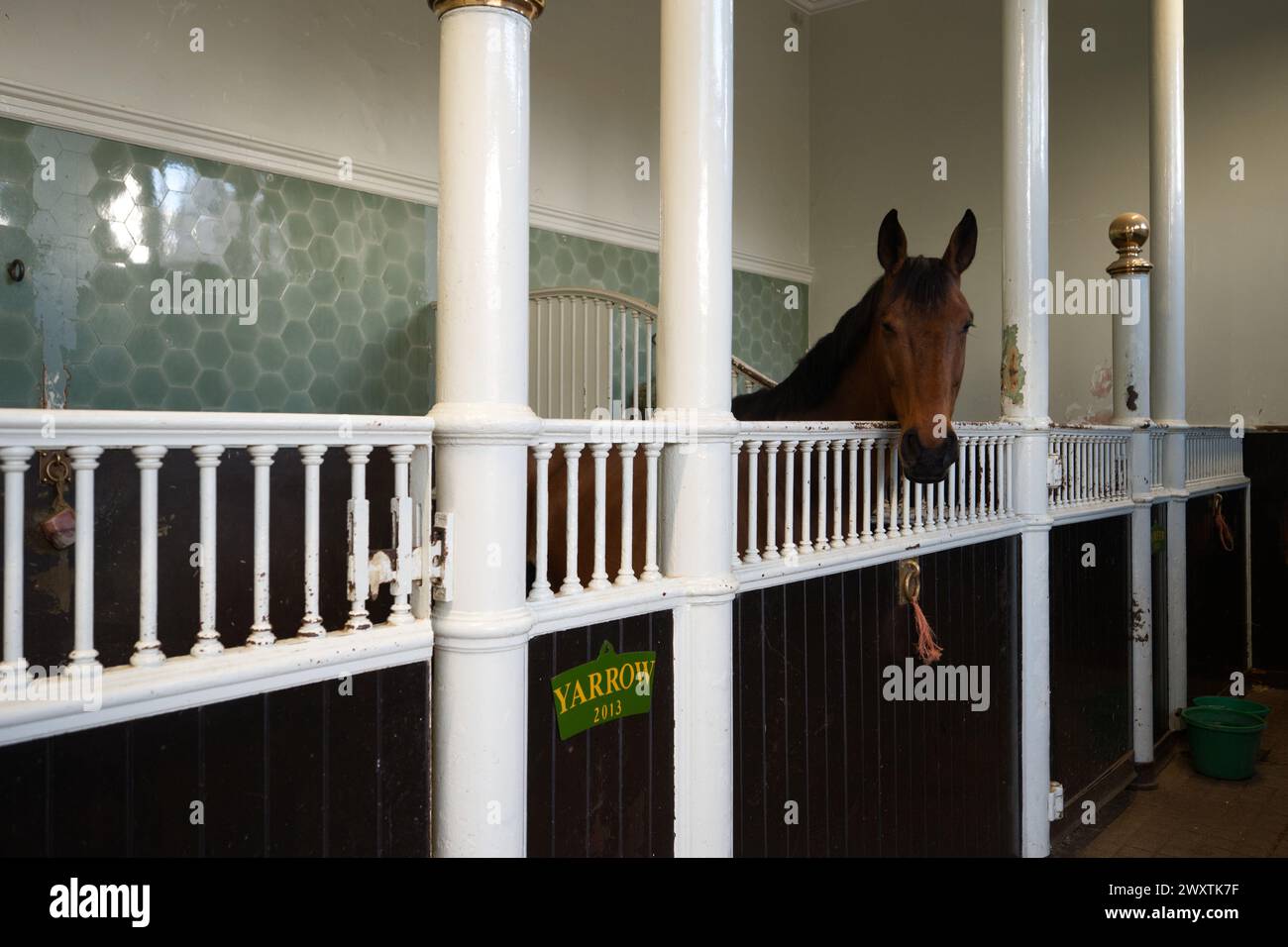 The royal mews stables hi-res stock photography and images - Alamy