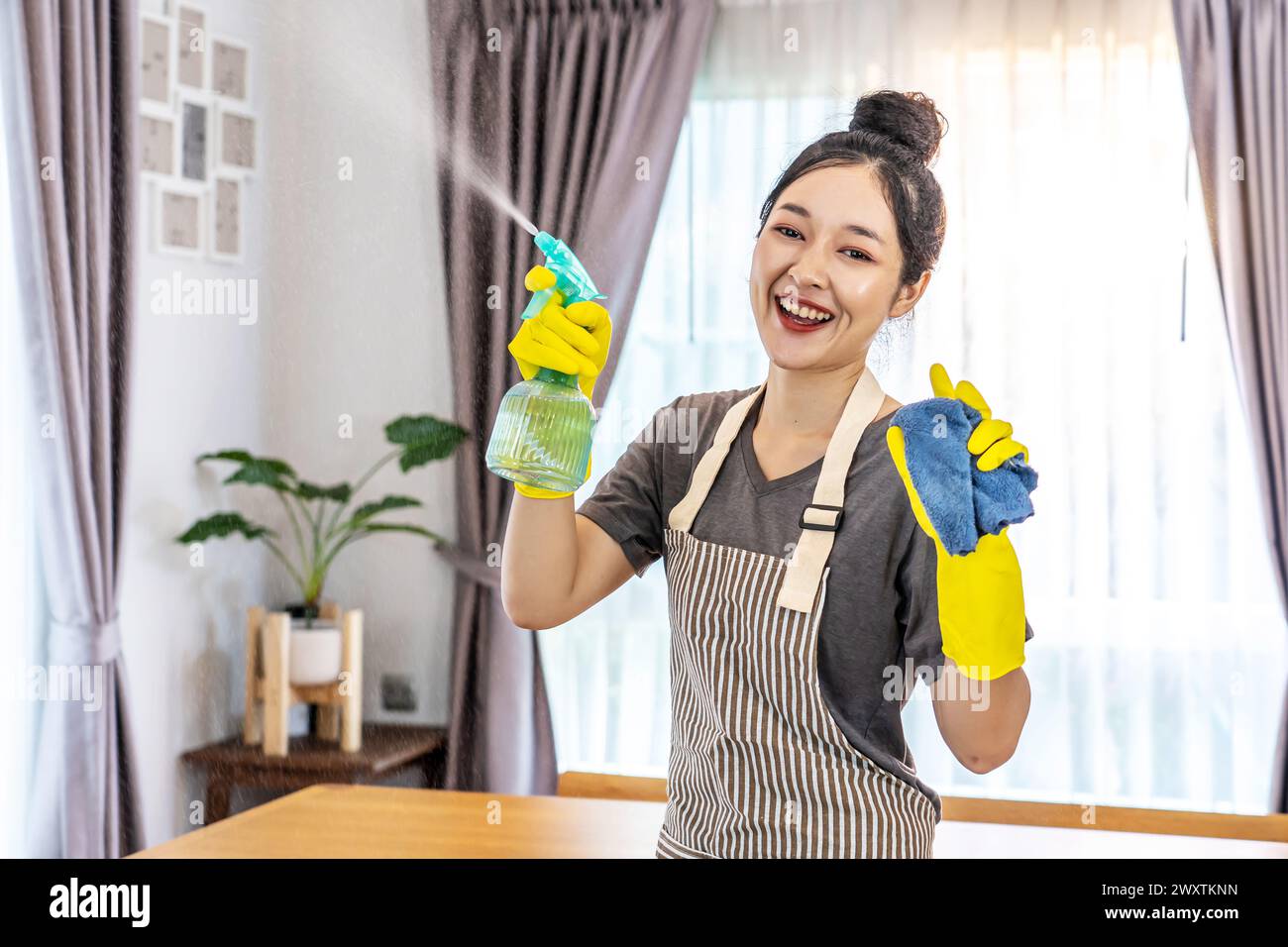 A young woman in apron holding sponges, pointing at a bottle Stock ...