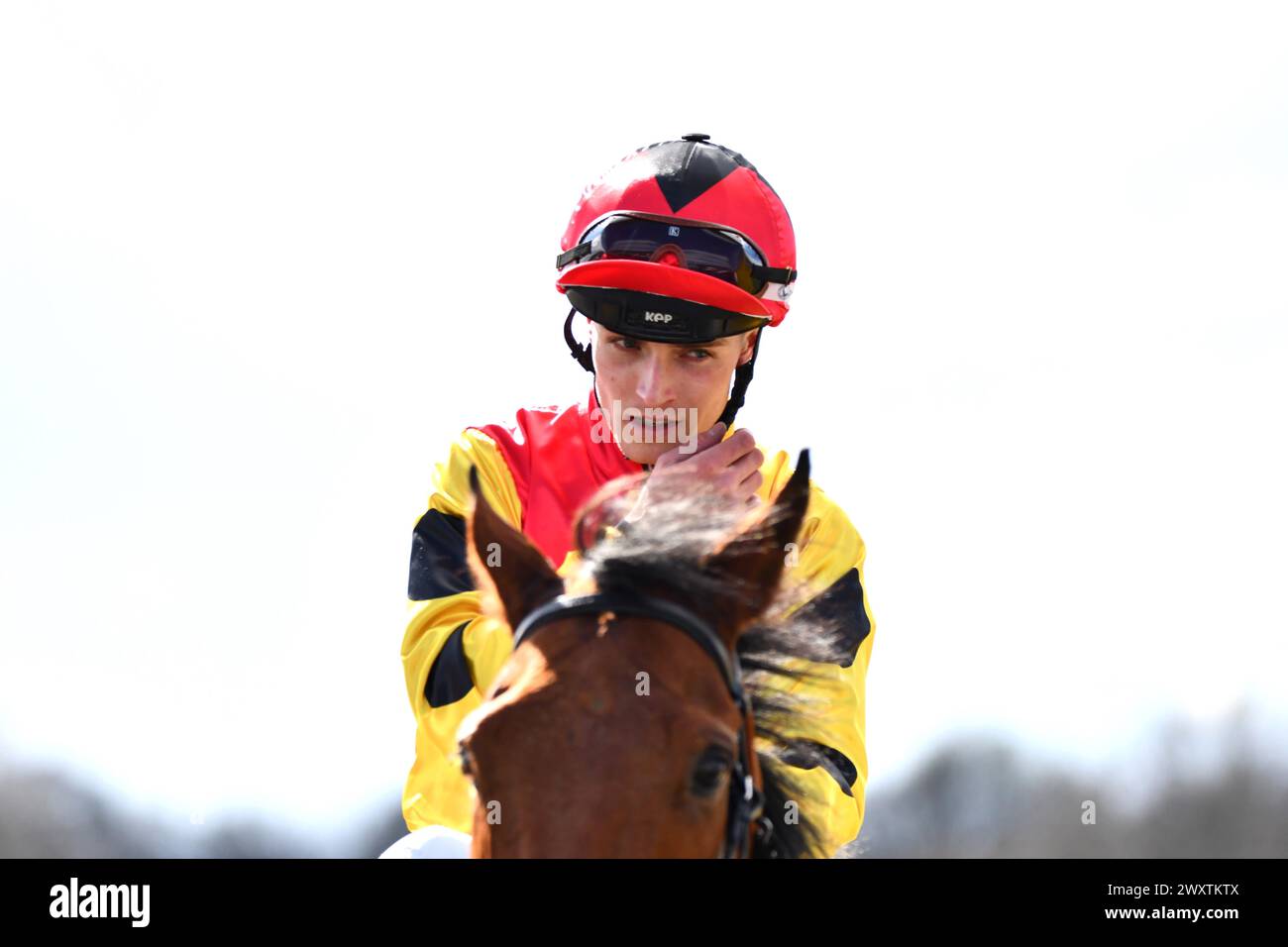 Tyler heard hi-res stock photography and images - Alamy