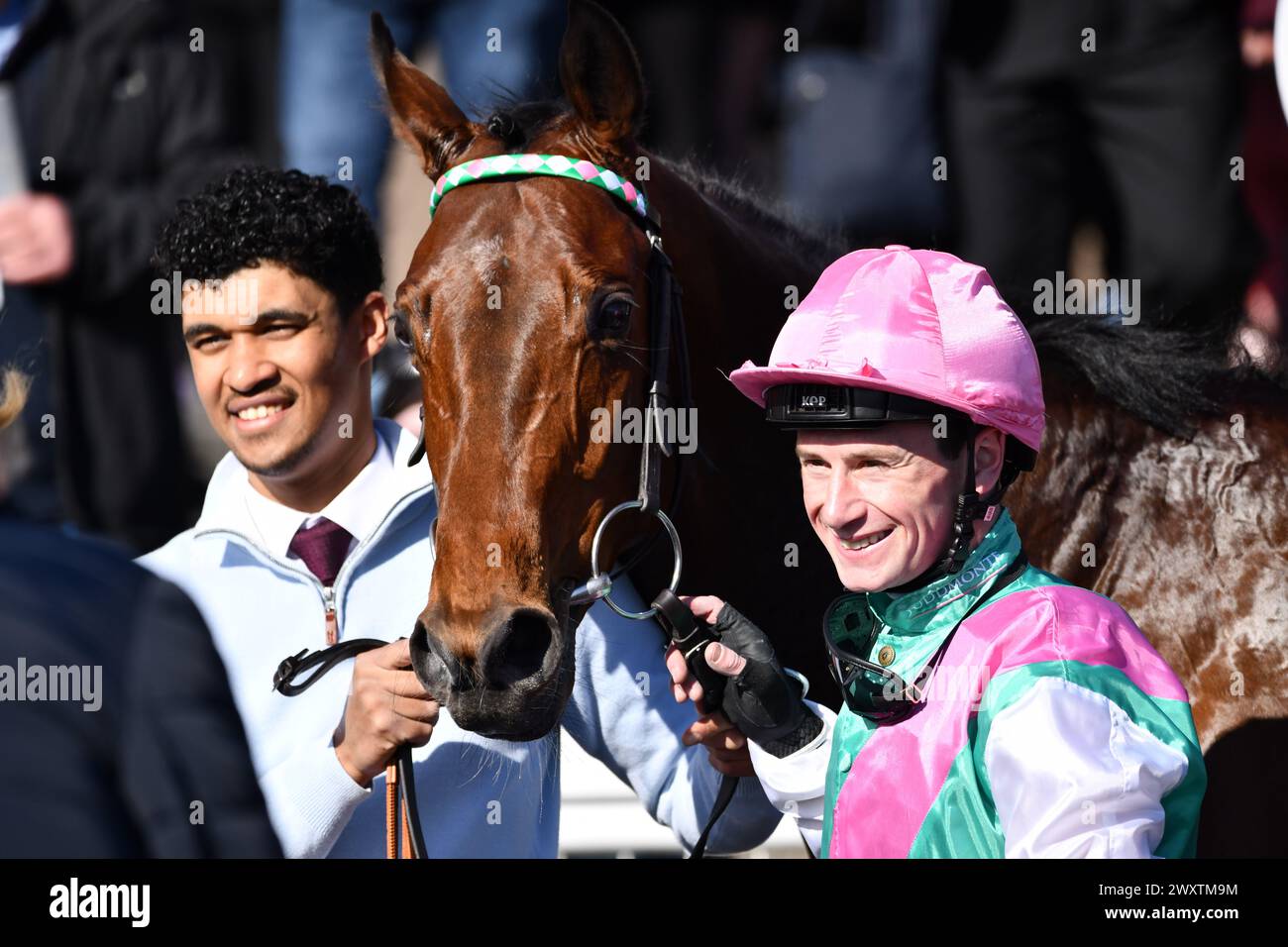 Racehorse FIRE DEMON - XI All-Weather Championships Stock Photo - Alamy