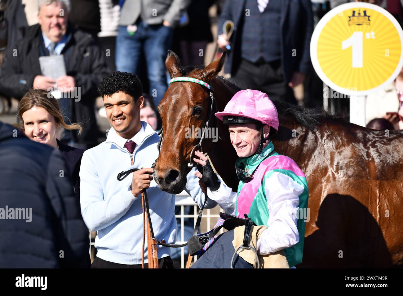 Racehorse FIRE DEMON - XI All-Weather Championships Stock Photo - Alamy