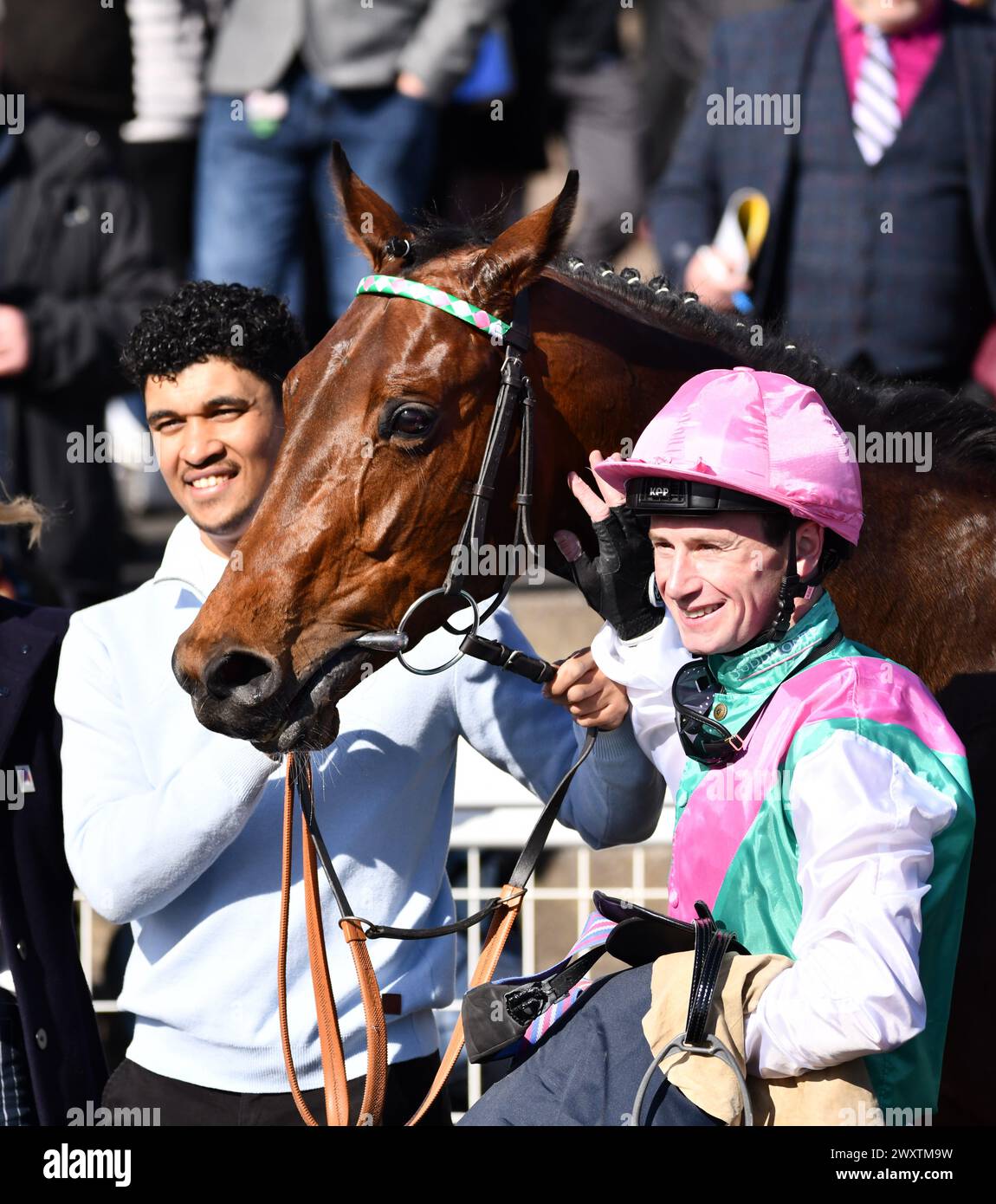 Racehorse FIRE DEMON - XI All-Weather Championships Stock Photo - Alamy