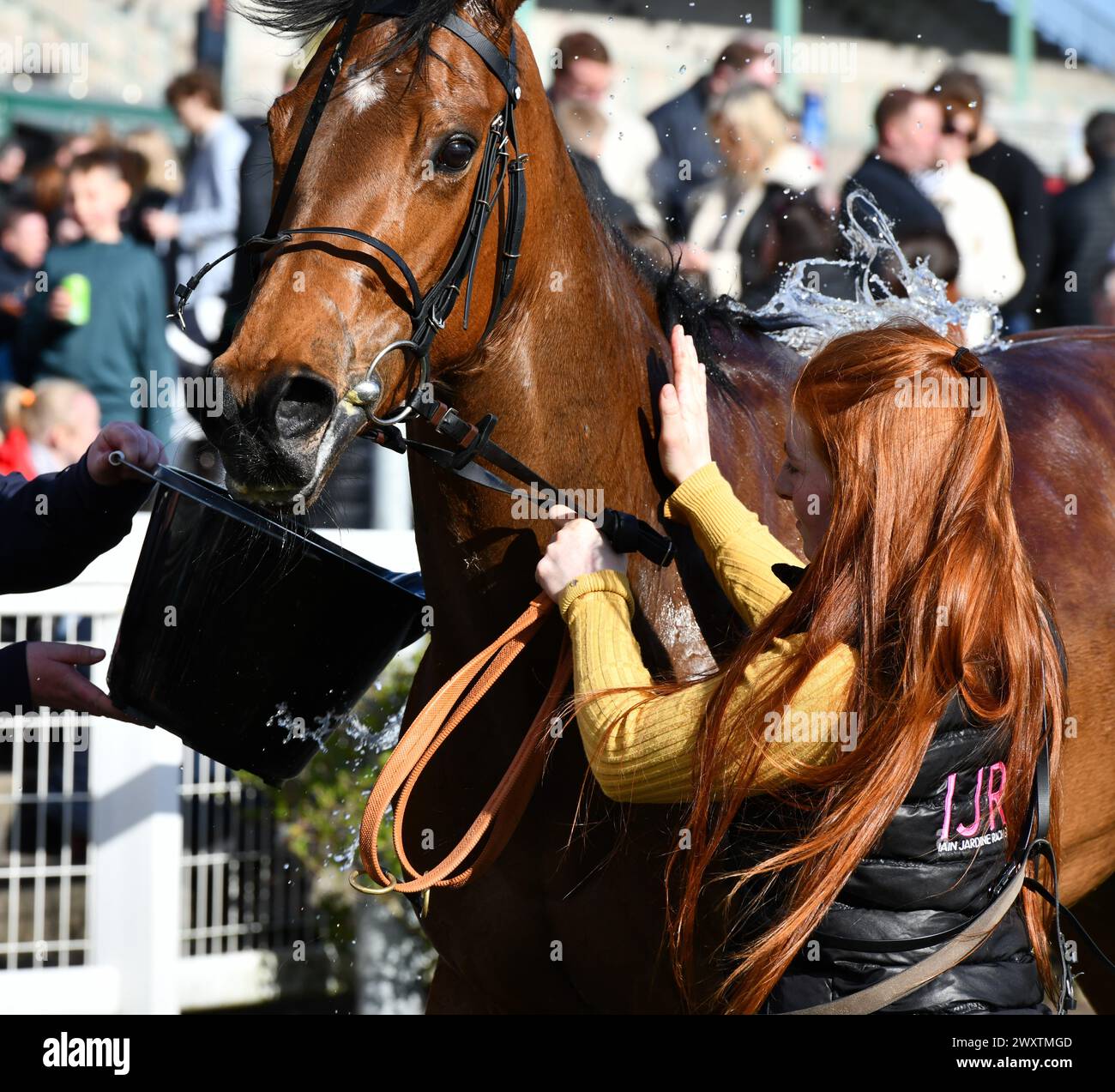 Summerghand racecourse hi-res stock photography and images - Alamy