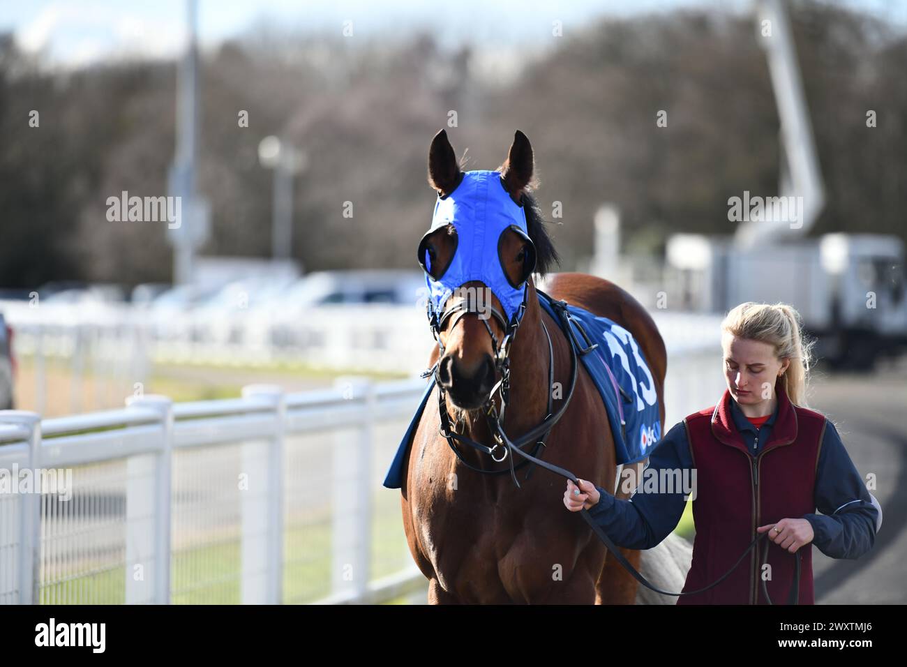 Racehorse BERGERAC - XI All-Weather Championships Stock Photo - Alamy