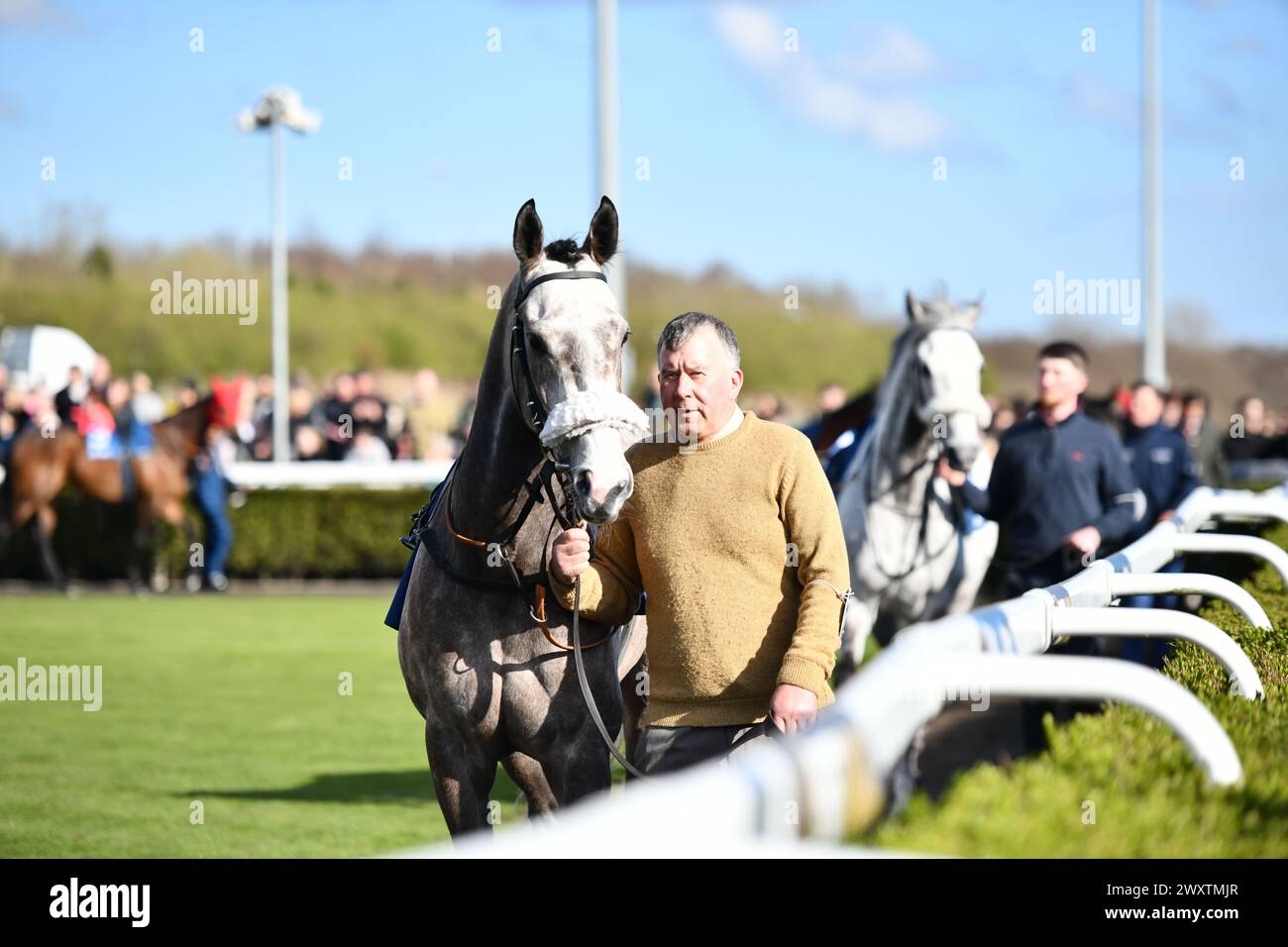 Racehorse BILLYJOH and jockey FREDERICK LARSON Stock Photo - Alamy