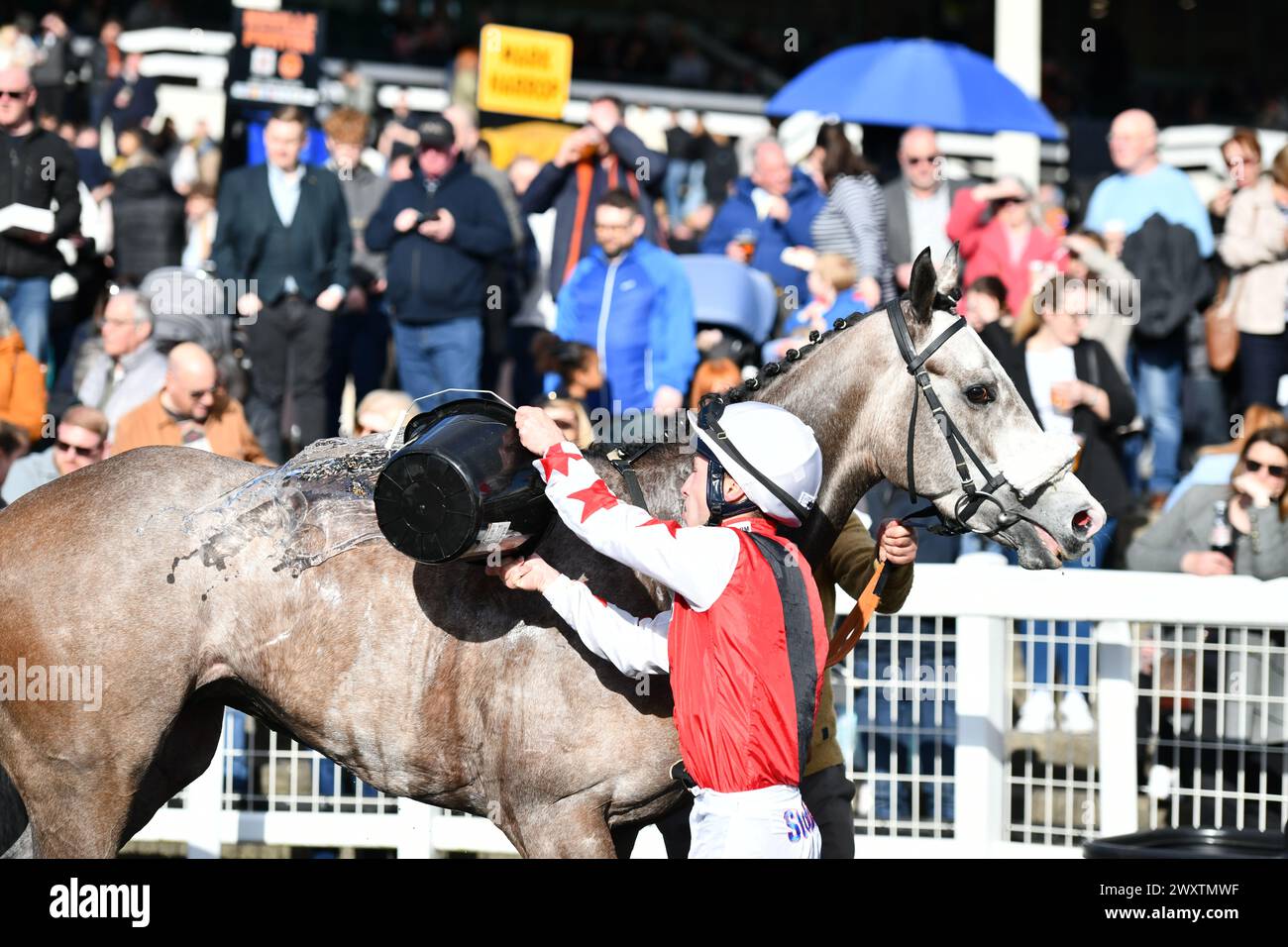 Frederick larson hi-res stock photography and images - Alamy