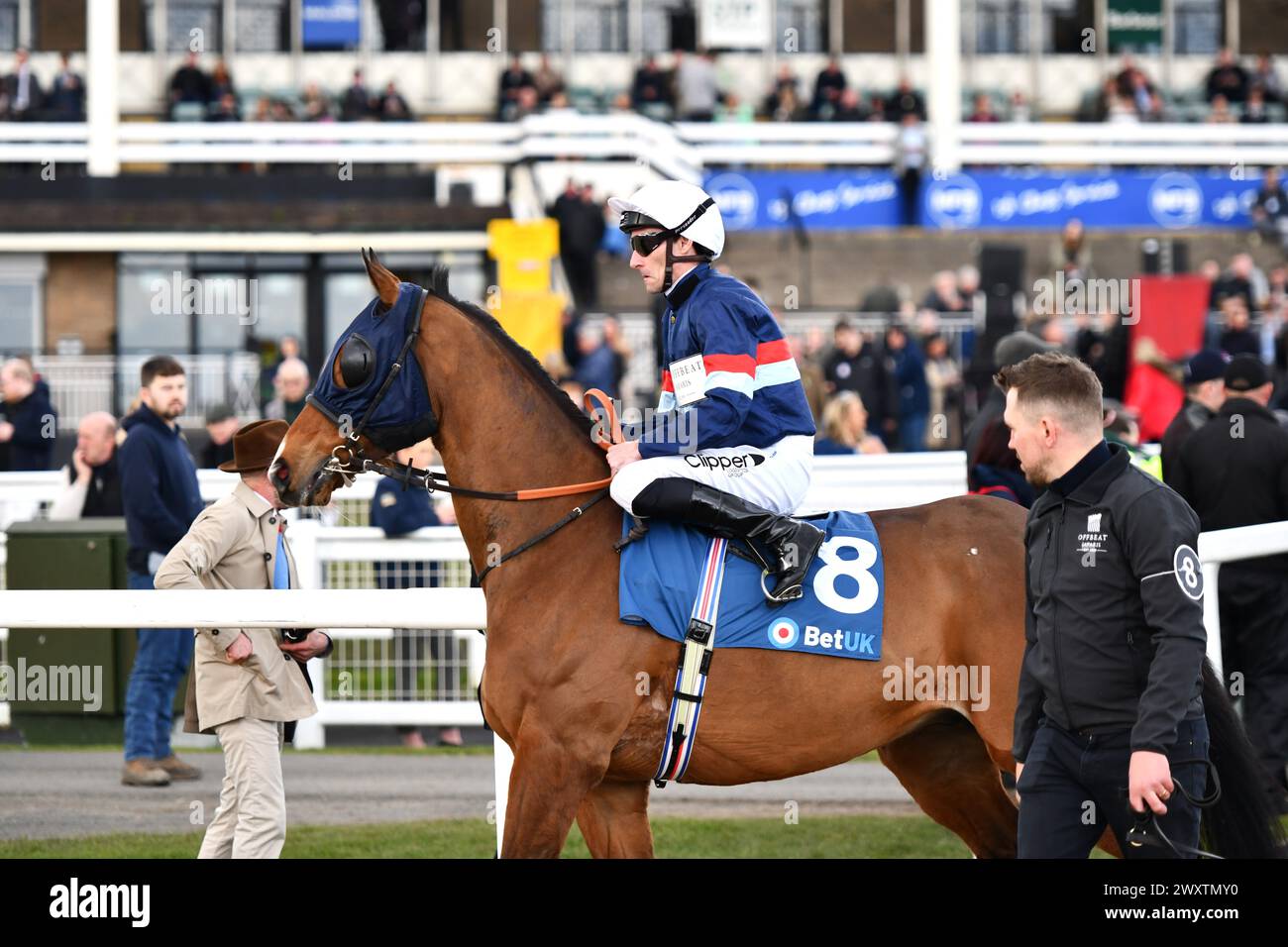 Daniel tudhope jockey hi-res stock photography and images - Alamy