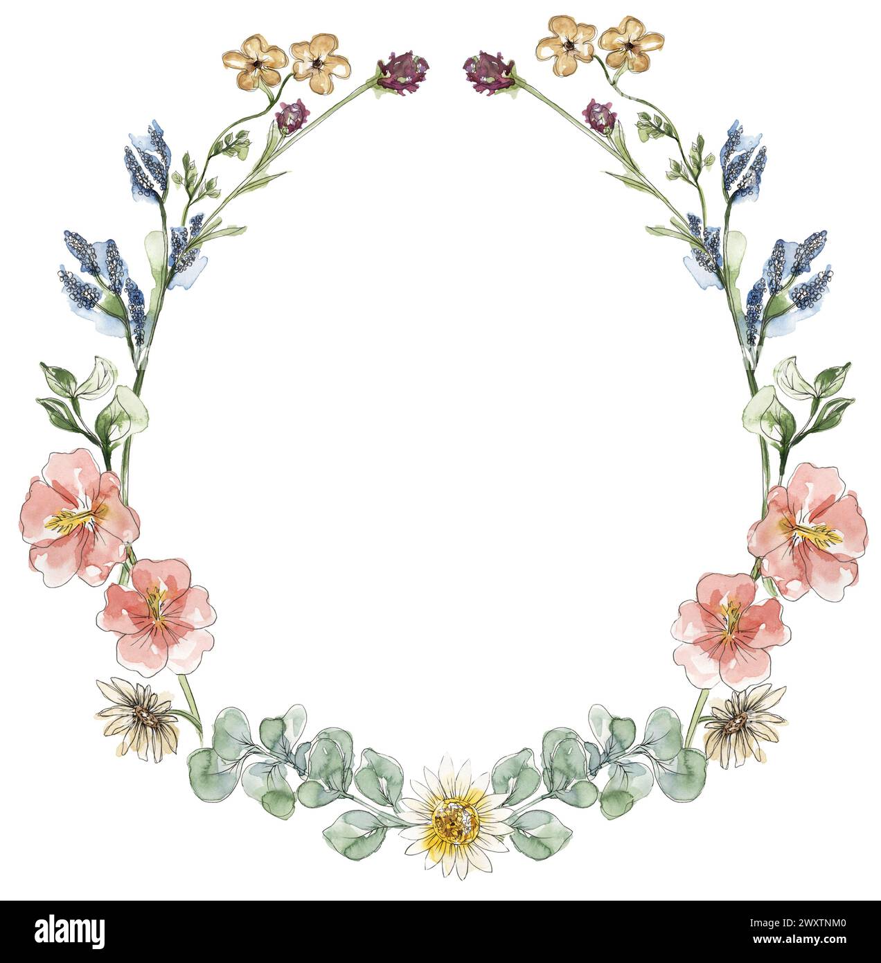 Watercolor wildflowers wreath illustration, meadow flowers frame ...