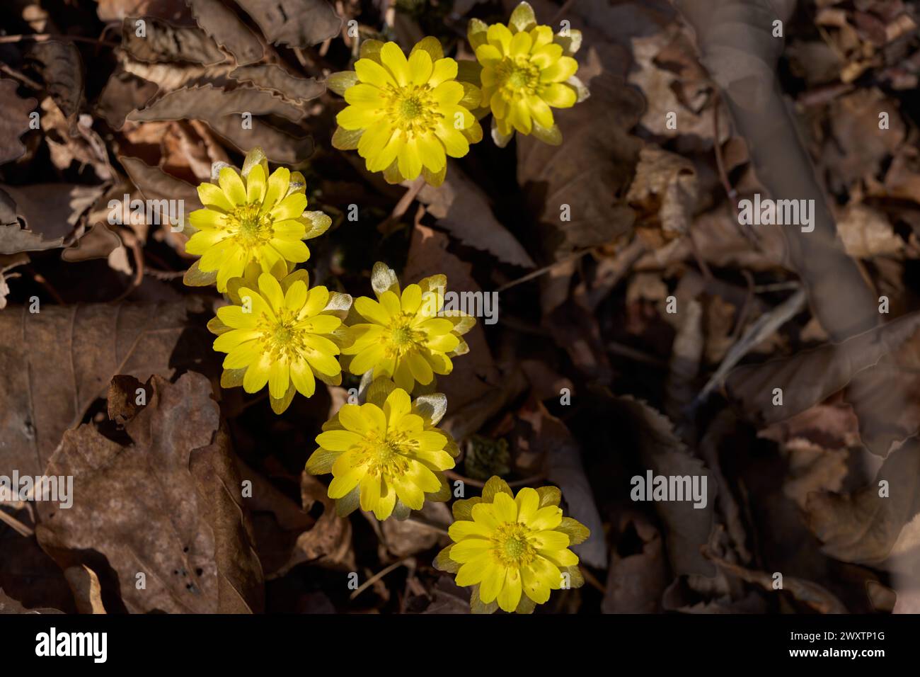 (240402) -- VLADIVOSTOK, April 2, 2024 (Xinhua) -- This photo taken on ...