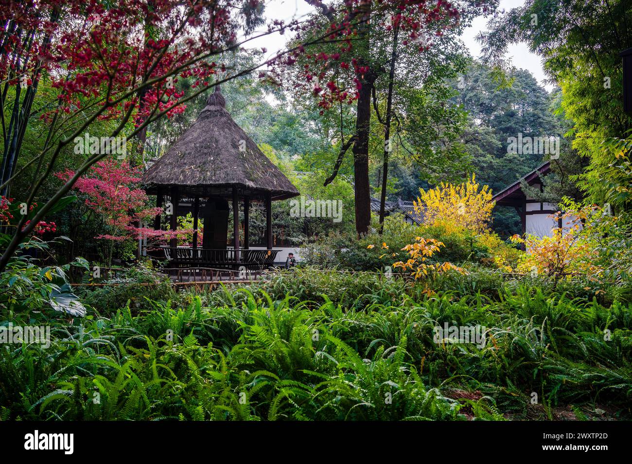 Chengdu Thatched Cottage Park, China Stock Photo - Alamy