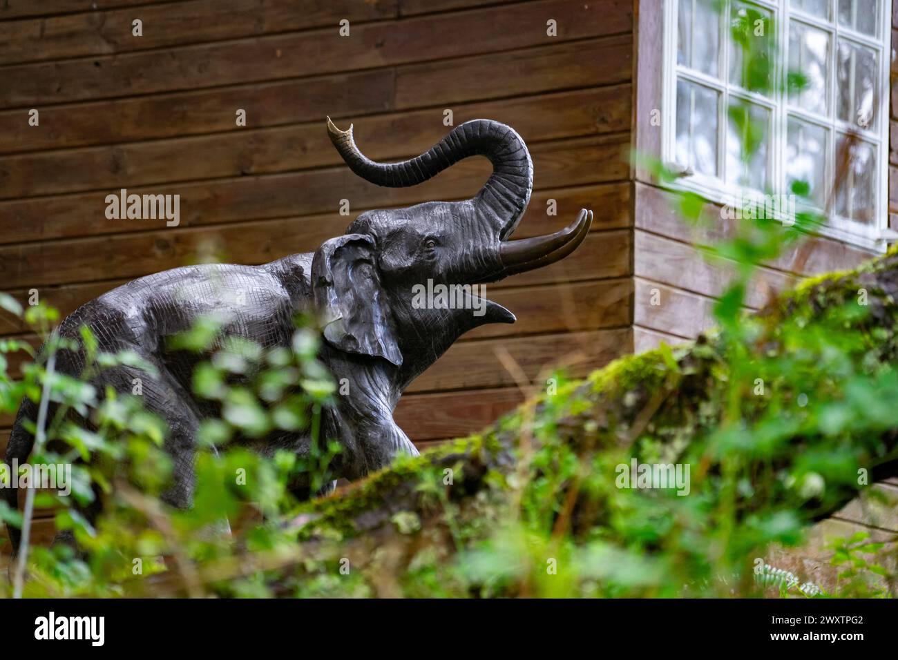 Located along the Rte de Kenscoff, in Port-au-Prince, Ranch Le Montcel ...