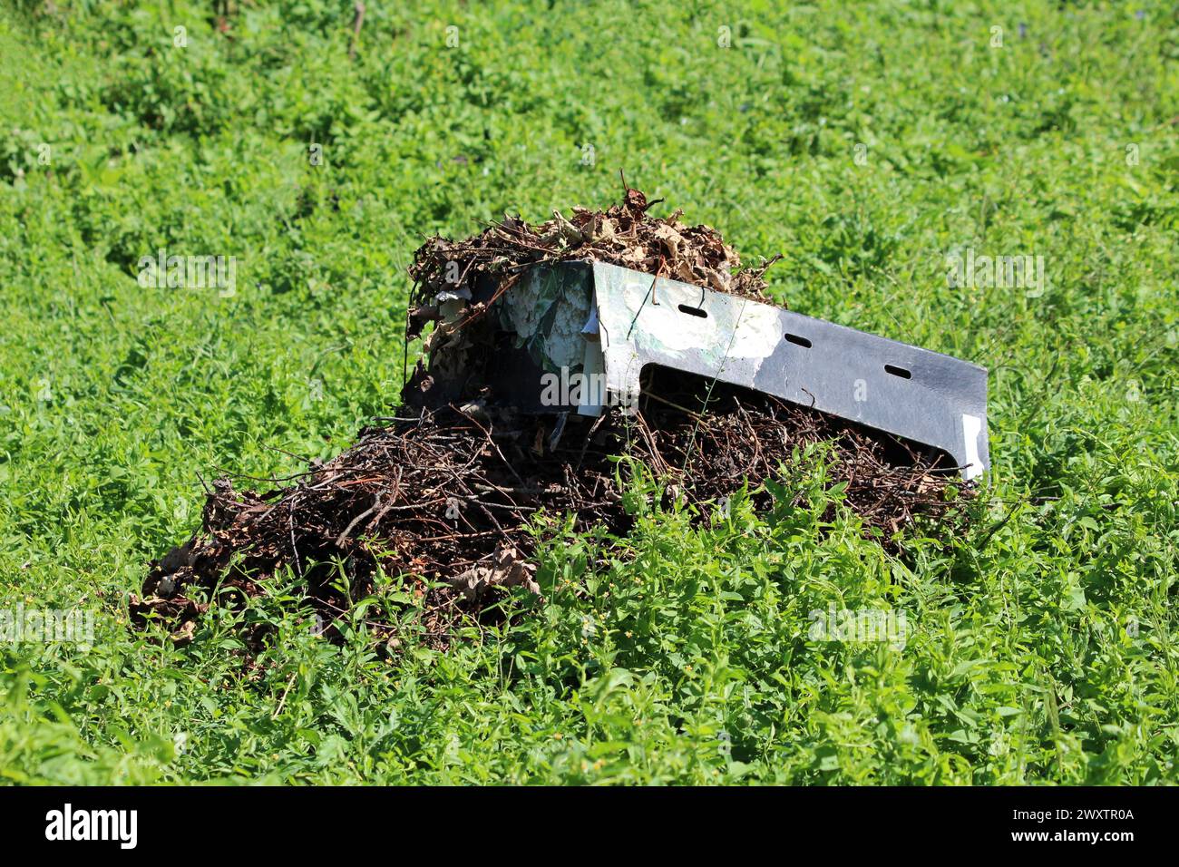 Homemade makeshift outdoor compost pile made of dry plants and small ...