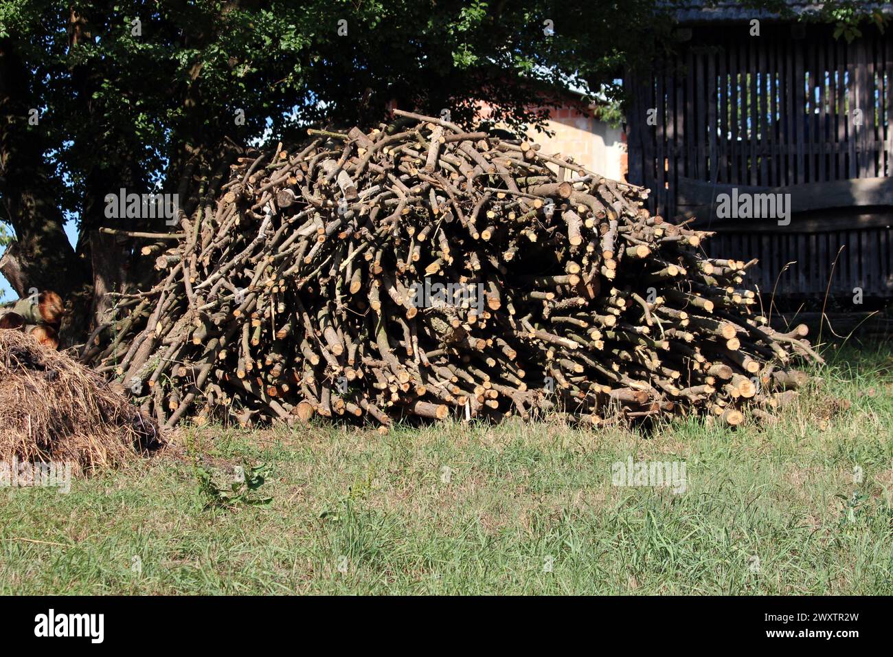 Pile of cut out tree branches and small wooden logs left to dry in ...