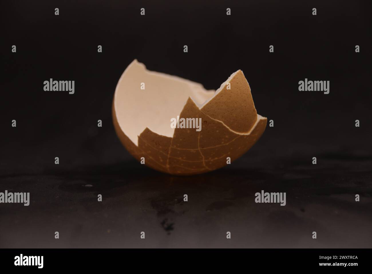 Empty broken chicken egg hi-res stock photography and images - Alamy