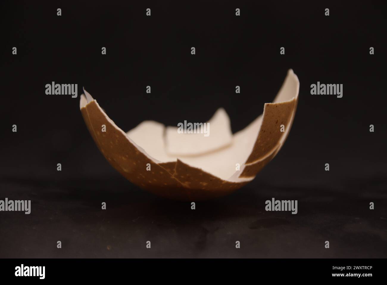 Consumer egg hi-res stock photography and images - Alamy