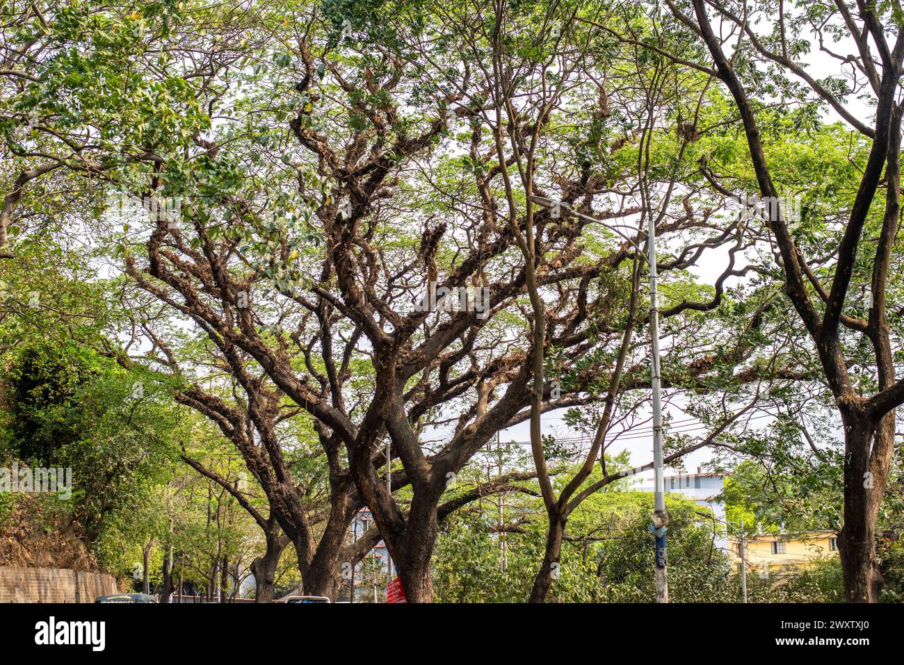 Chittagong elevated expressway ramp hi-res stock photography and images ...